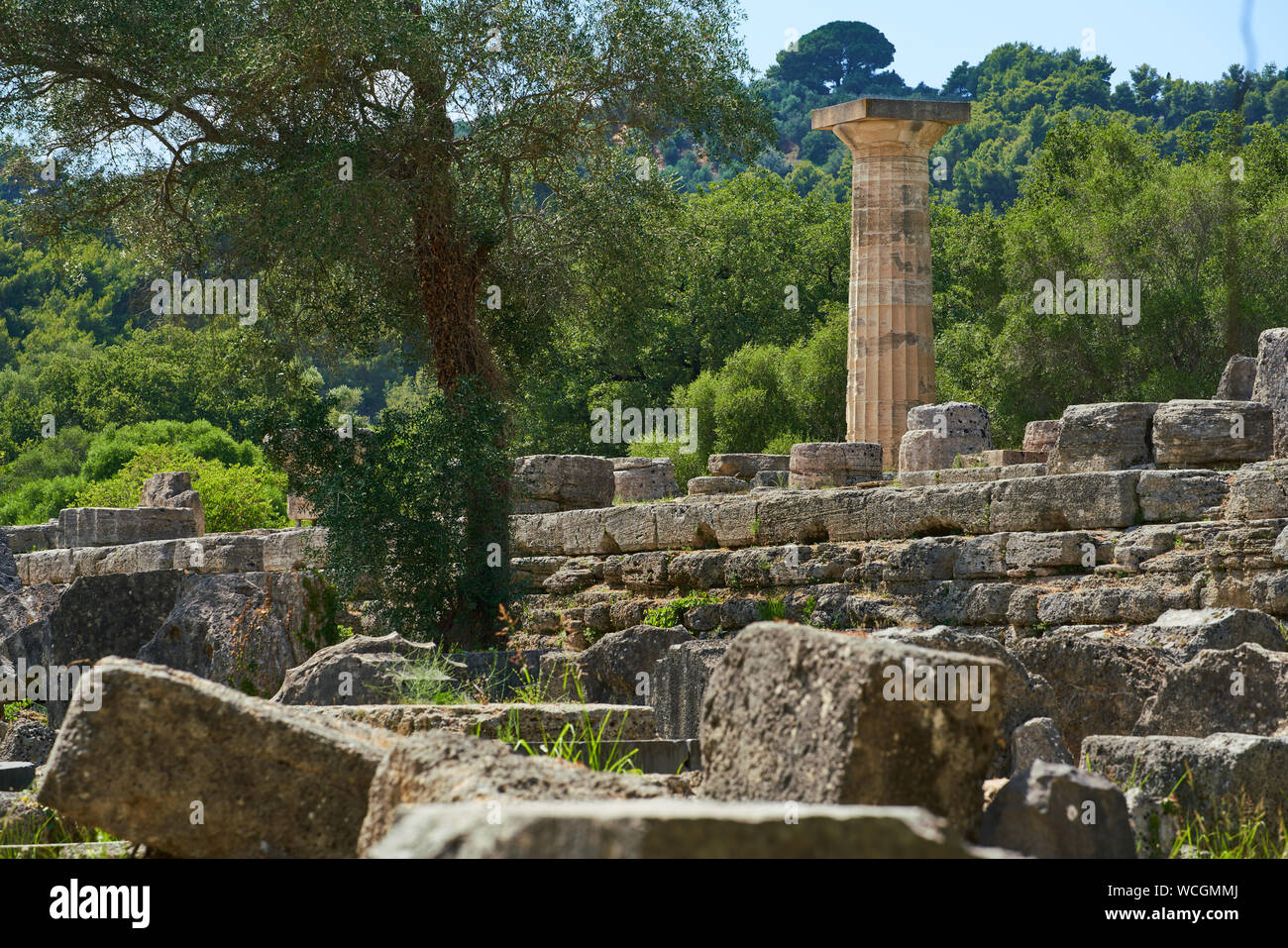 Remains of the Temple of Zeus at Olympia with a single reconstructed ...