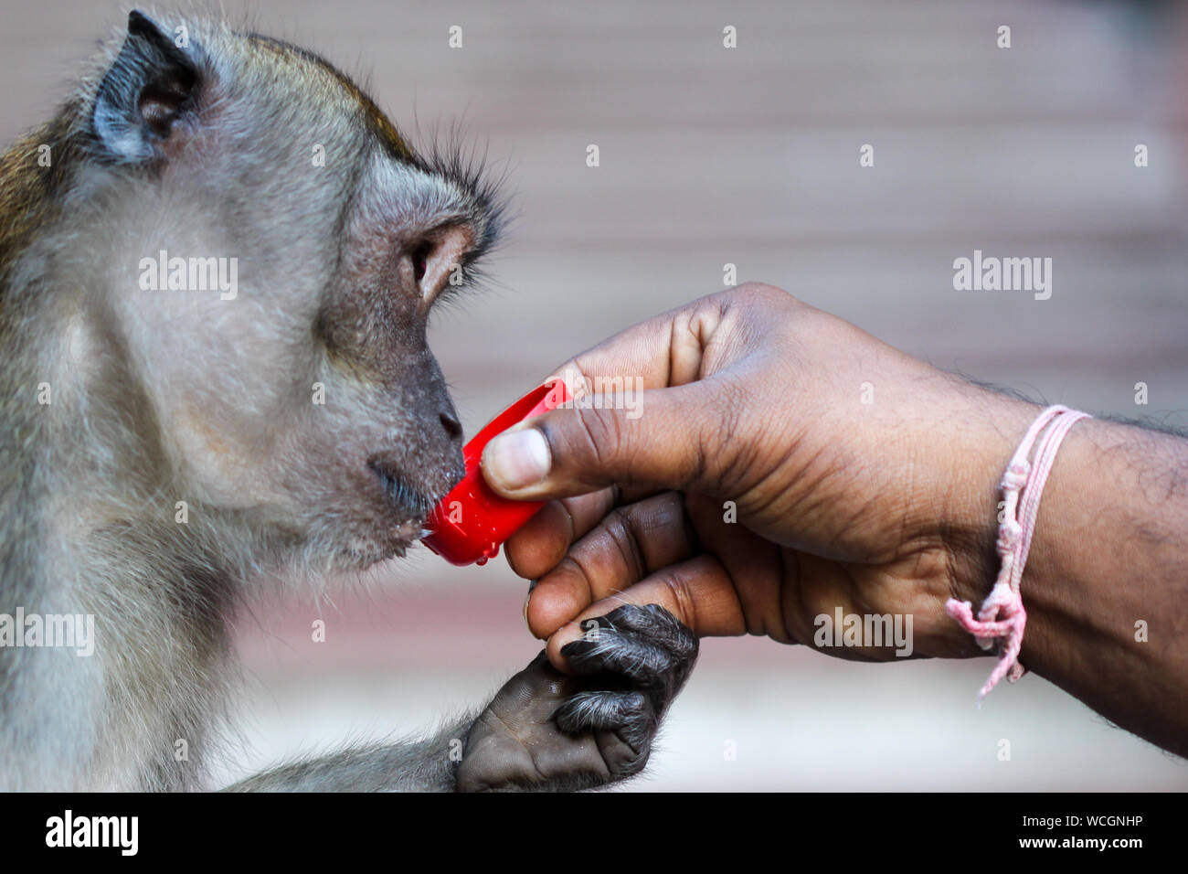 Giving trust hi-res stock photography and images - Alamy