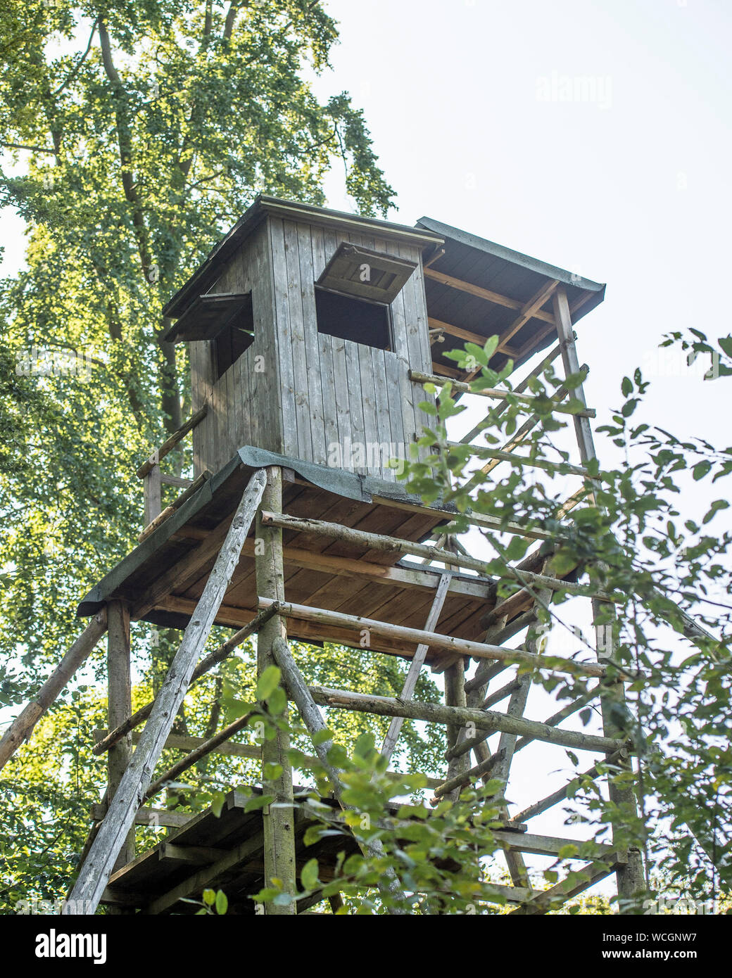 Hochsitz high seat for hunting Stock Photo - Alamy