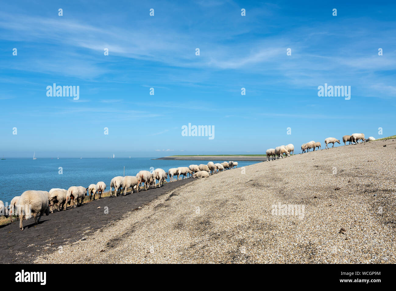 Dike waddenzee hi-res stock photography and images - Alamy