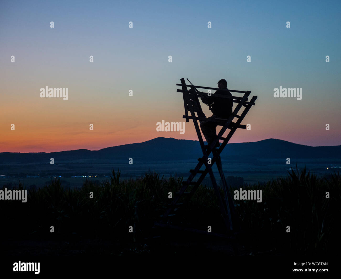 High seat deer hunting hunting hi-res stock photography and images - Alamy