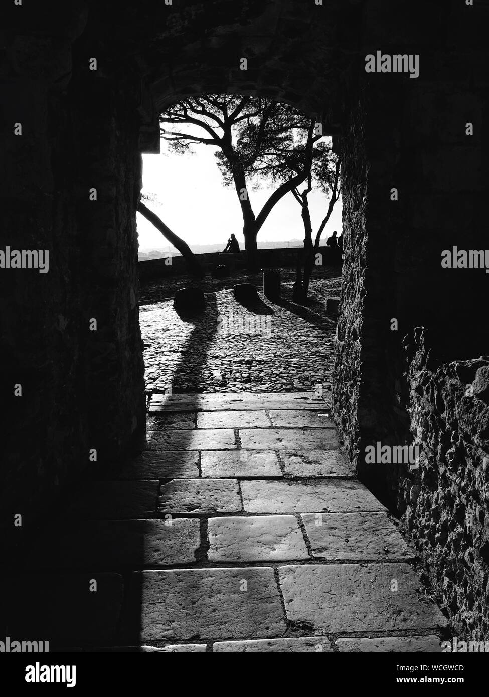 Tree Through An Arch High Resolution Stock Photography and Images - Alamy