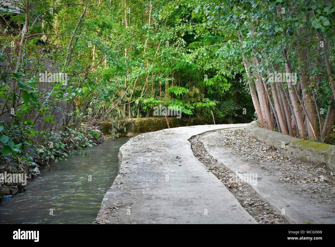 Canal plants hi-res stock photography and images - Alamy