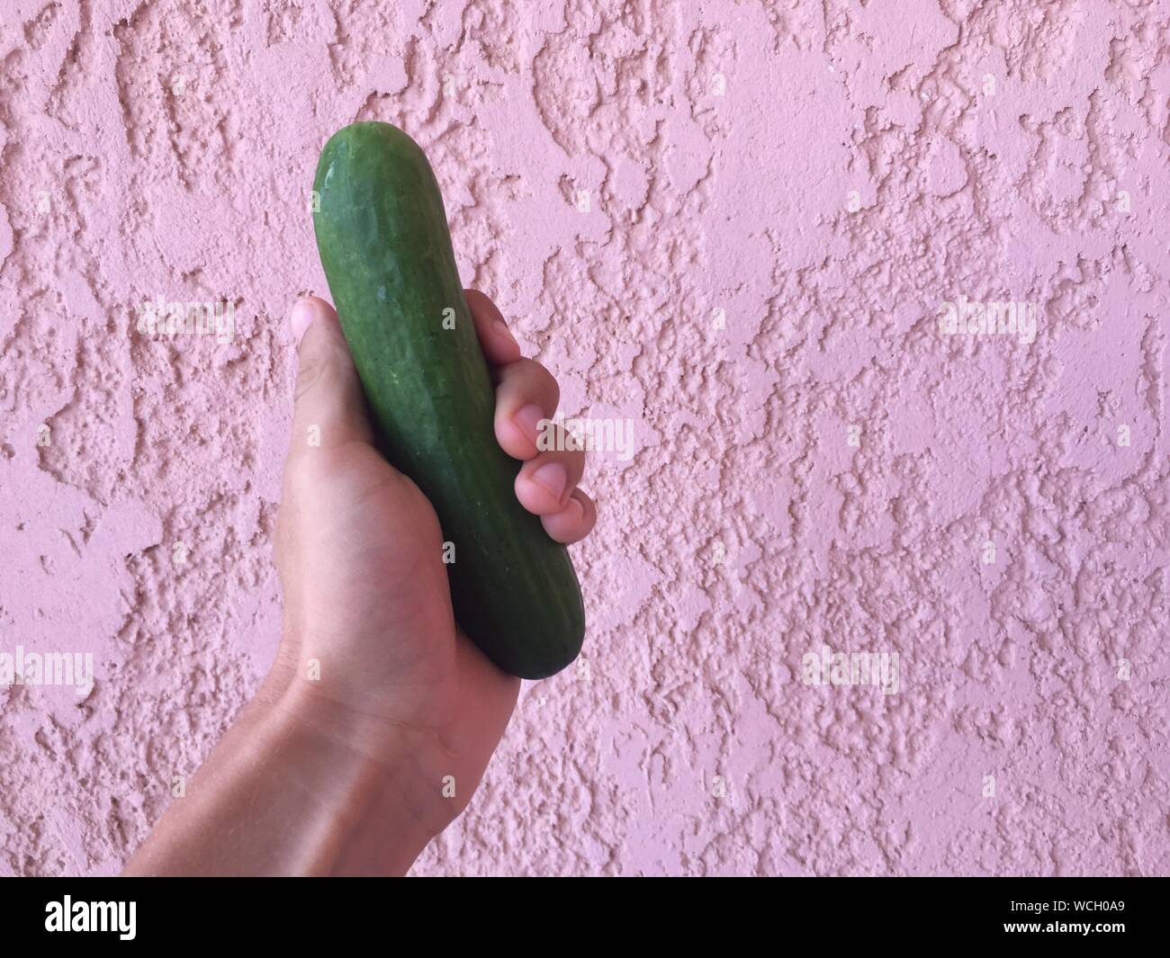Hand holding cucumber hi-res stock photography and images - Alamy