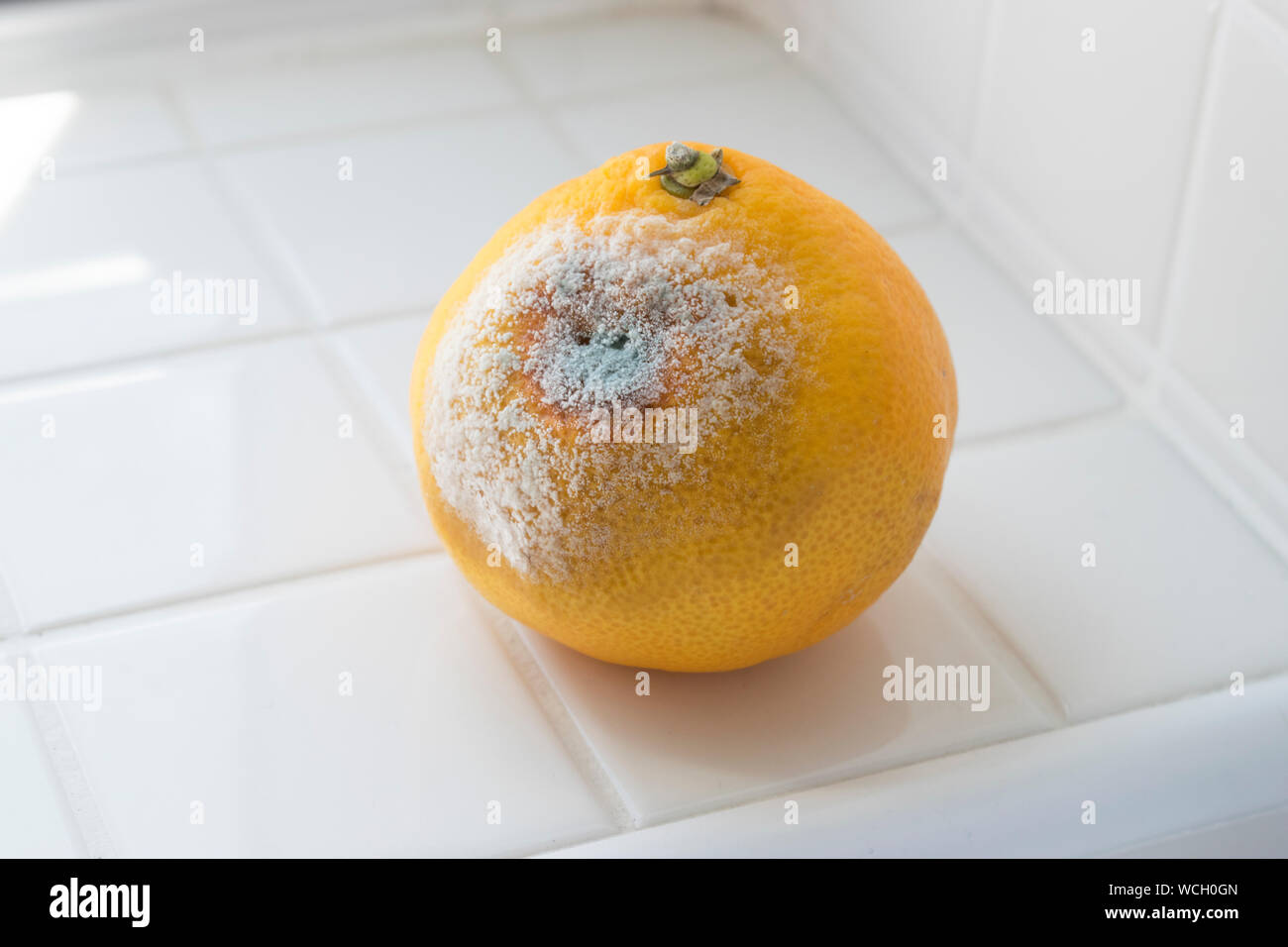 Mouldy fruit hi-res stock photography and images - Alamy