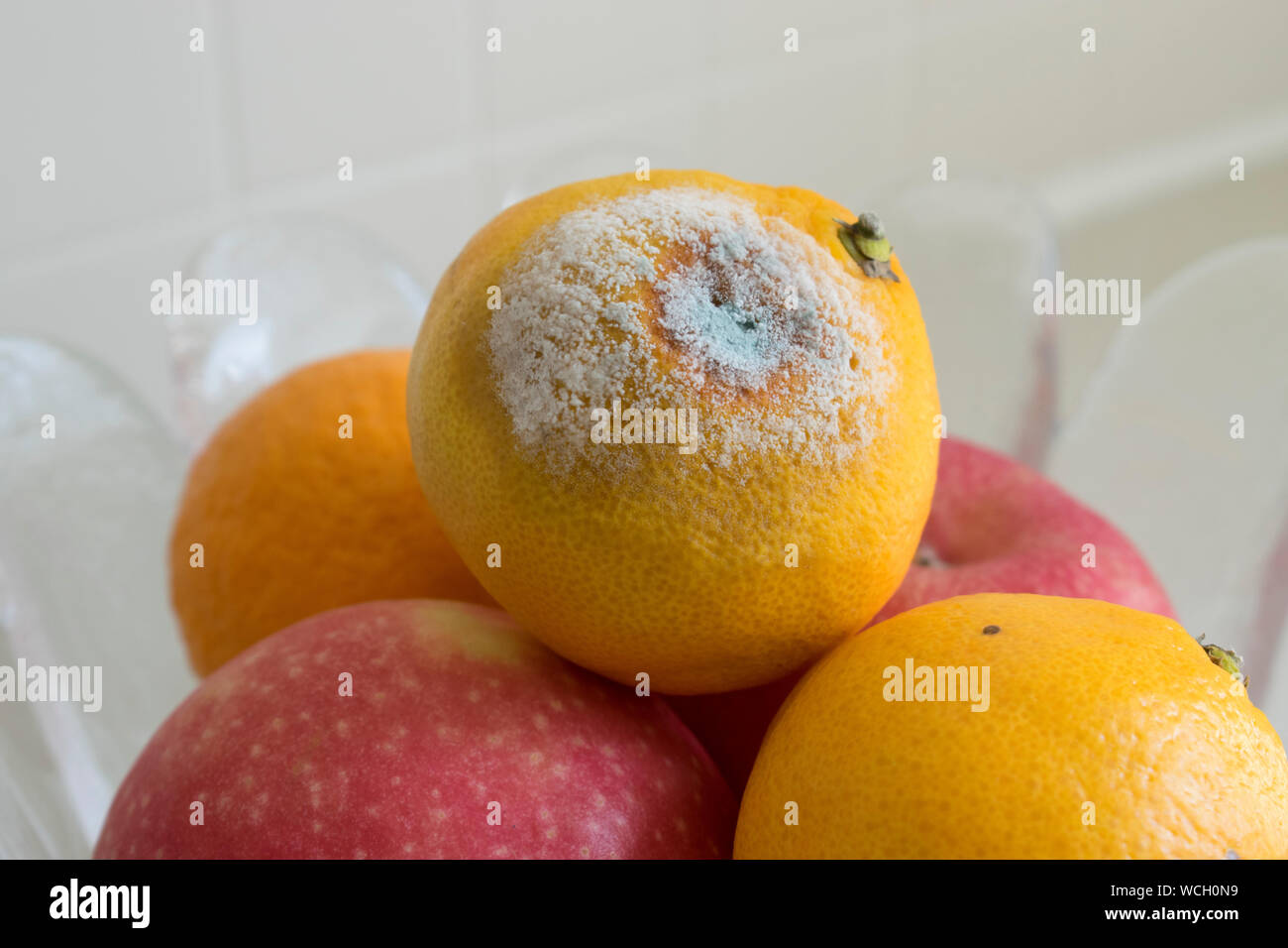 Mouldy fruit bowl hi-res stock photography and images - Alamy