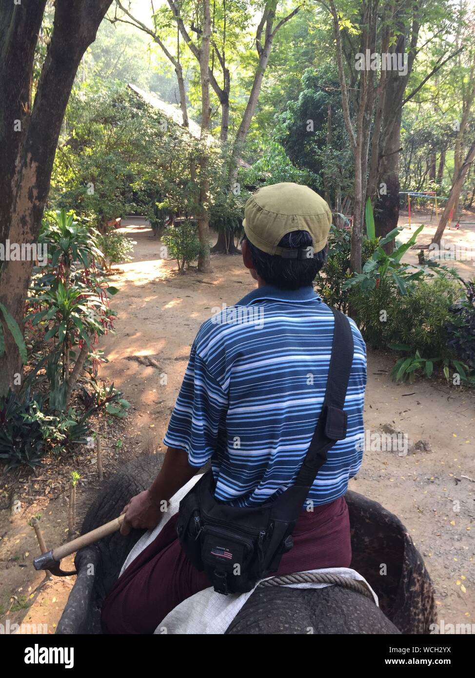 Man on elephant hi-res stock photography and images - Alamy