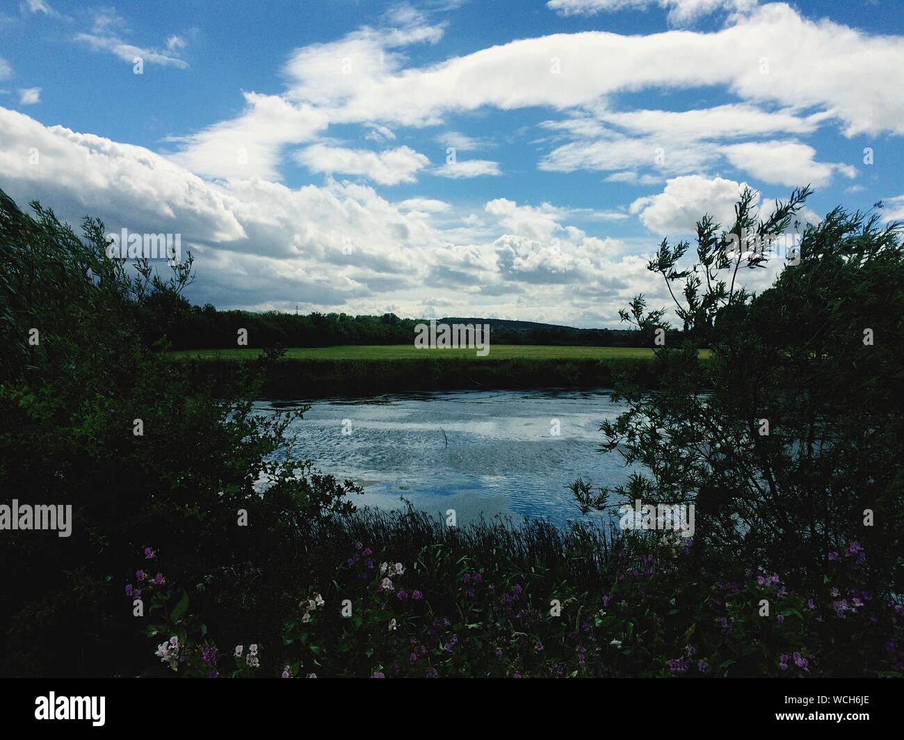 Melbourne lake view hi-res stock photography and images - Alamy