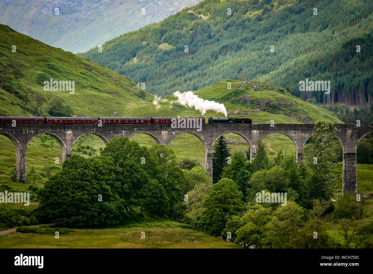 Train crossing viaduct hi-res stock photography and images - Alamy