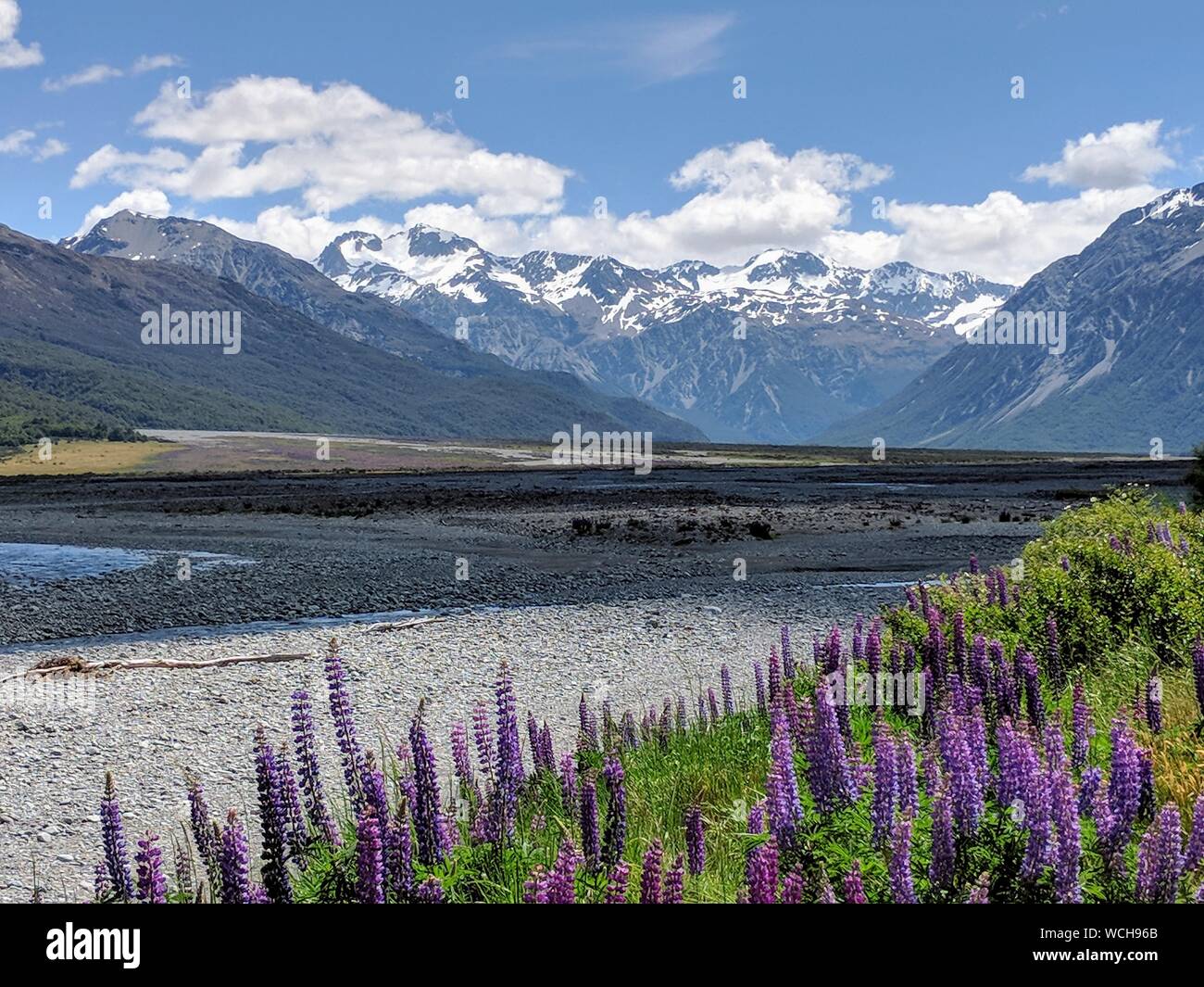 Purple mountains hi-res stock photography and images - Alamy