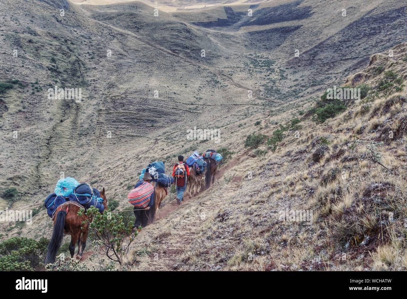 Man Carrying Donkey High Resolution Stock Photography and Images - Alamy