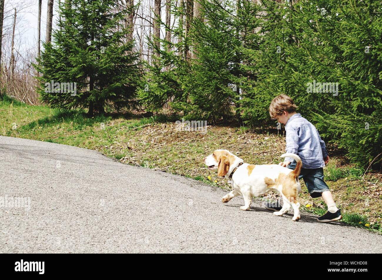 Boy walking with his dog hi-res stock photography and images - Alamy
