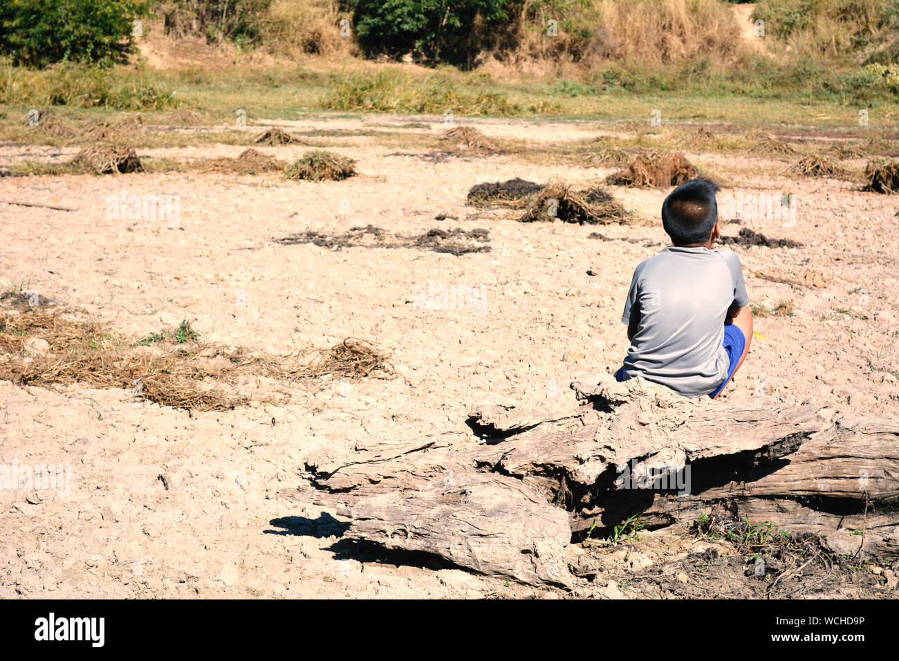 Boy rear view sitting hi-res stock photography and images - Alamy