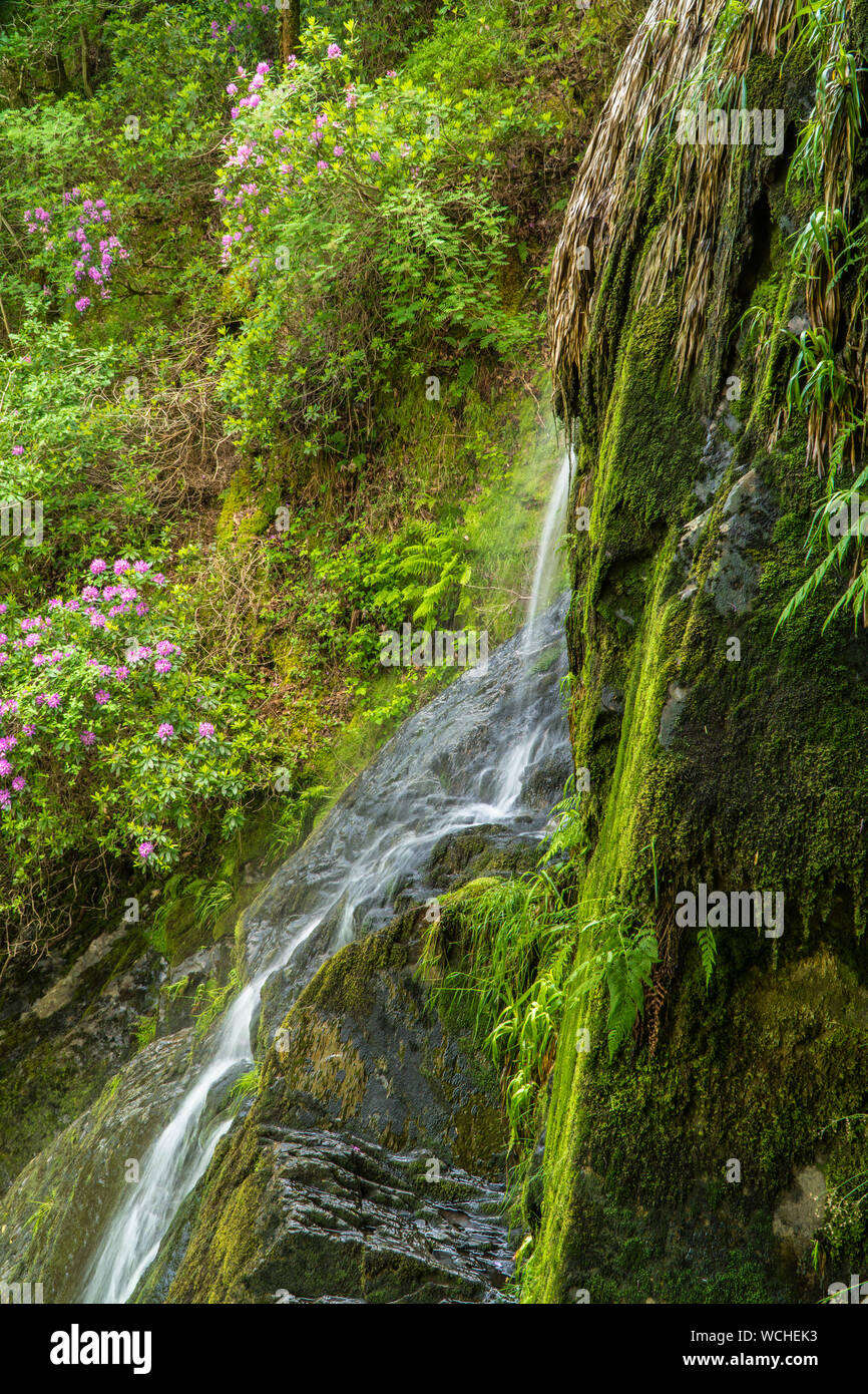 Devil's Bridge falls Pontarfynach, Ceredigion, Mid Wales UK. June 2019 ...