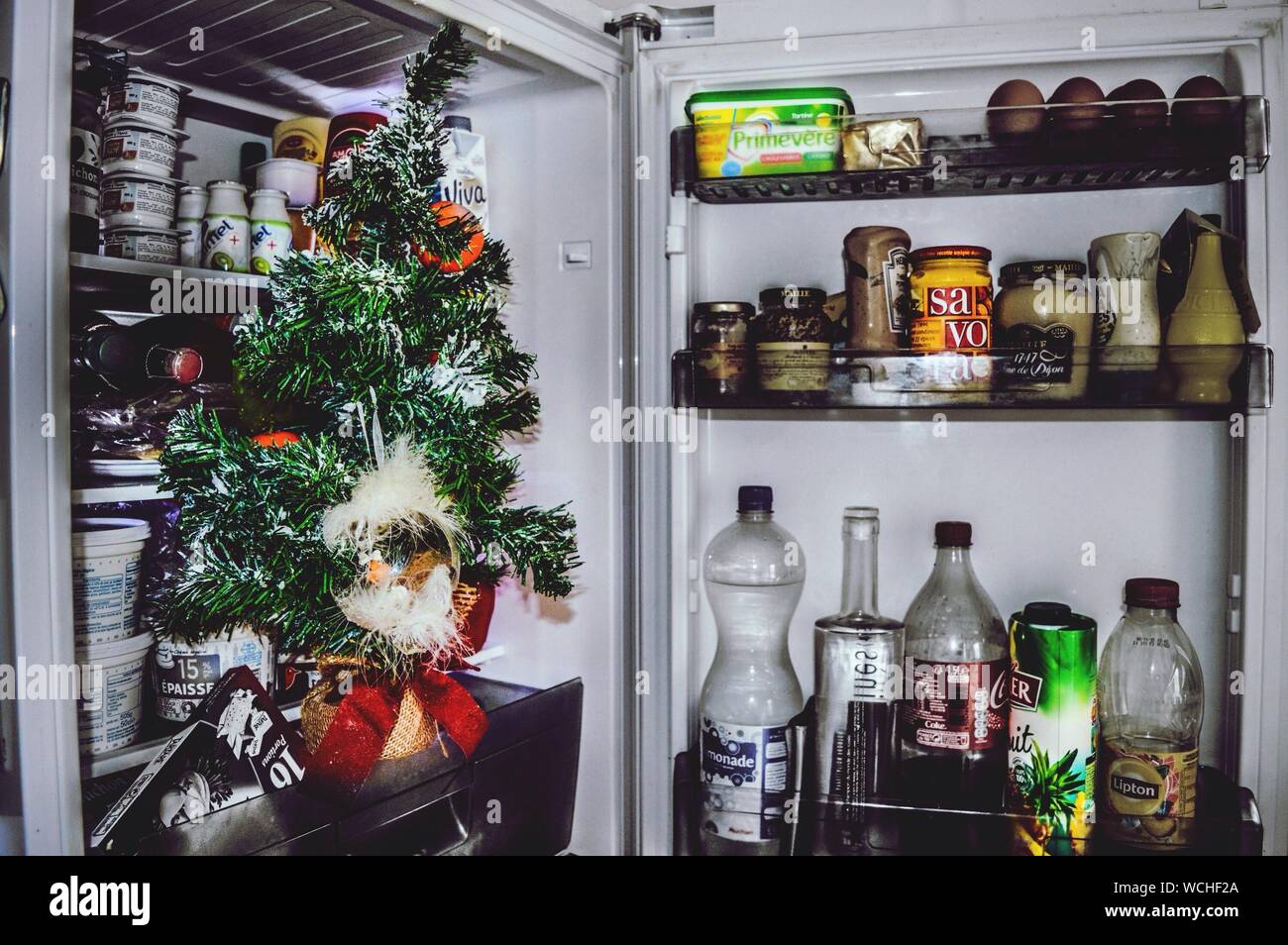 Refrigerator Tree High Resolution Stock Photography and Images - Alamy