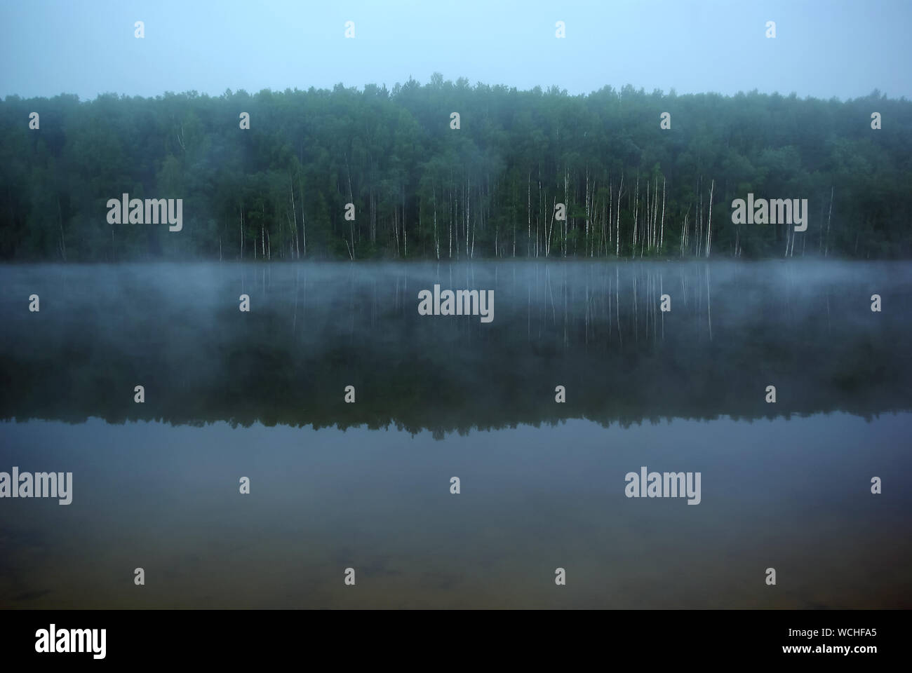 Photo lake fog forest hi-res stock photography and images - Alamy