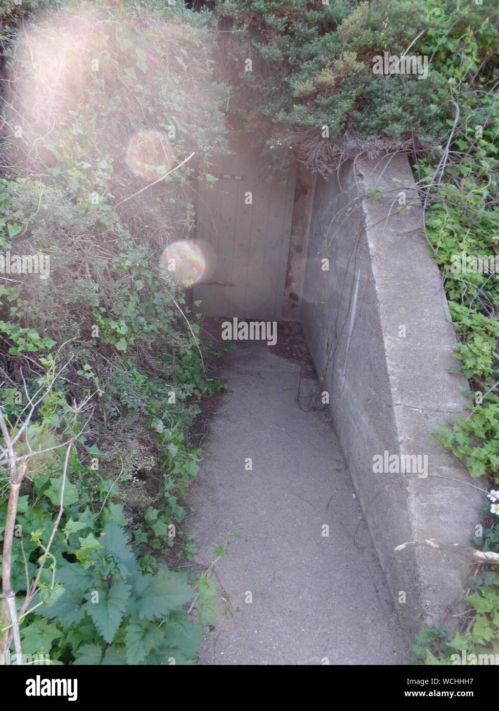 Cellar Entrance High Resolution Stock Photography and Images - Alamy
