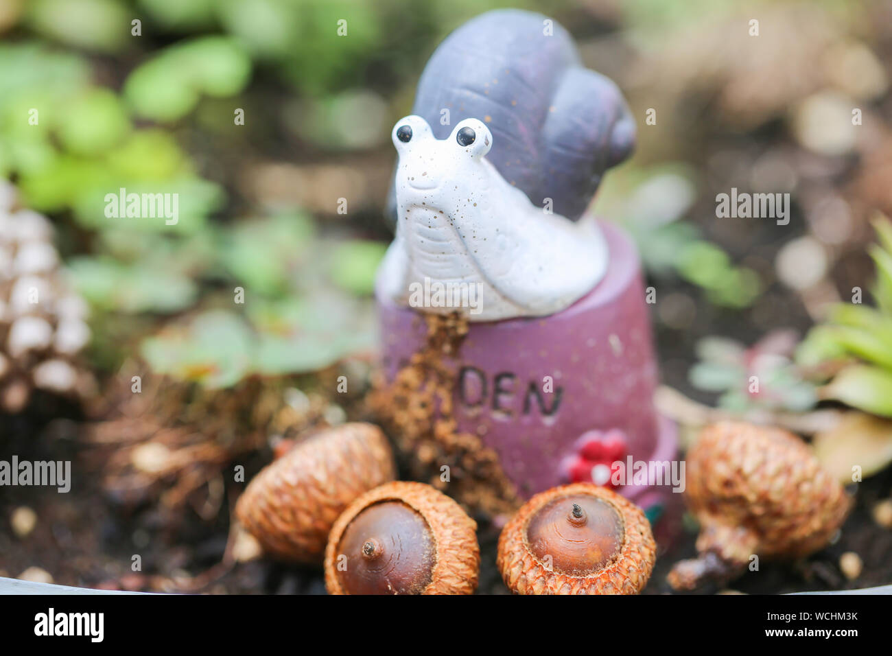 the little snail sculpture Behind the acorn - Image Stock Photo - Alamy