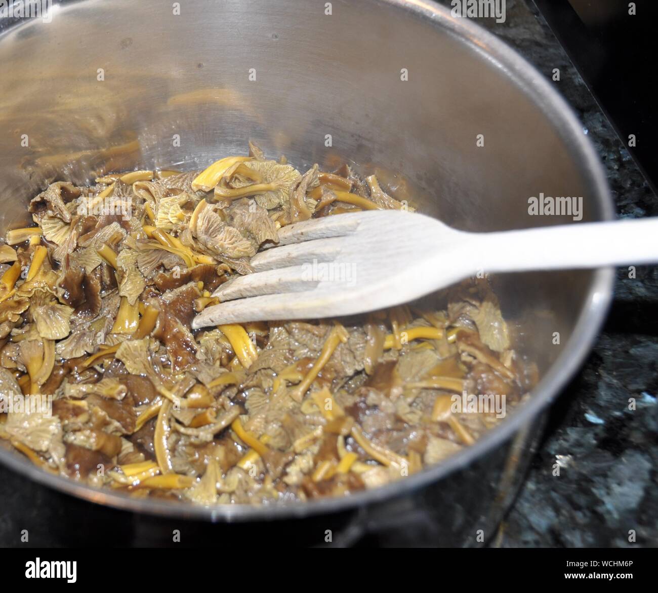 Tubiform hi-res stock photography and images - Alamy