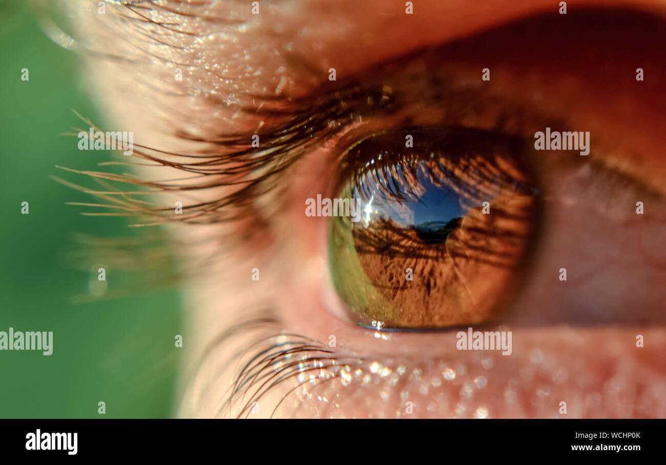 Human eye in focus hi-res stock photography and images - Alamy