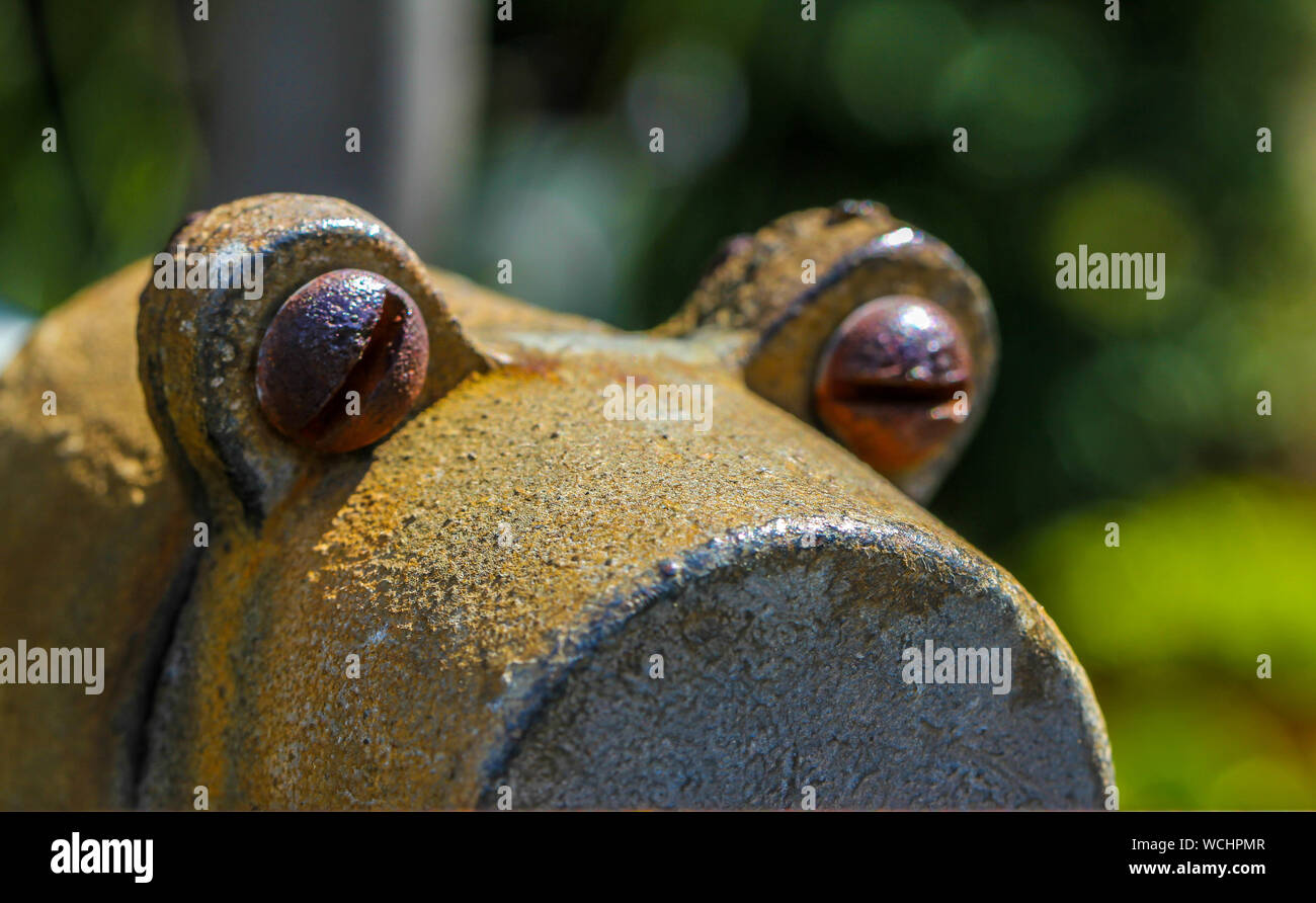 Animal Structure High Resolution Stock Photography and Images - Alamy