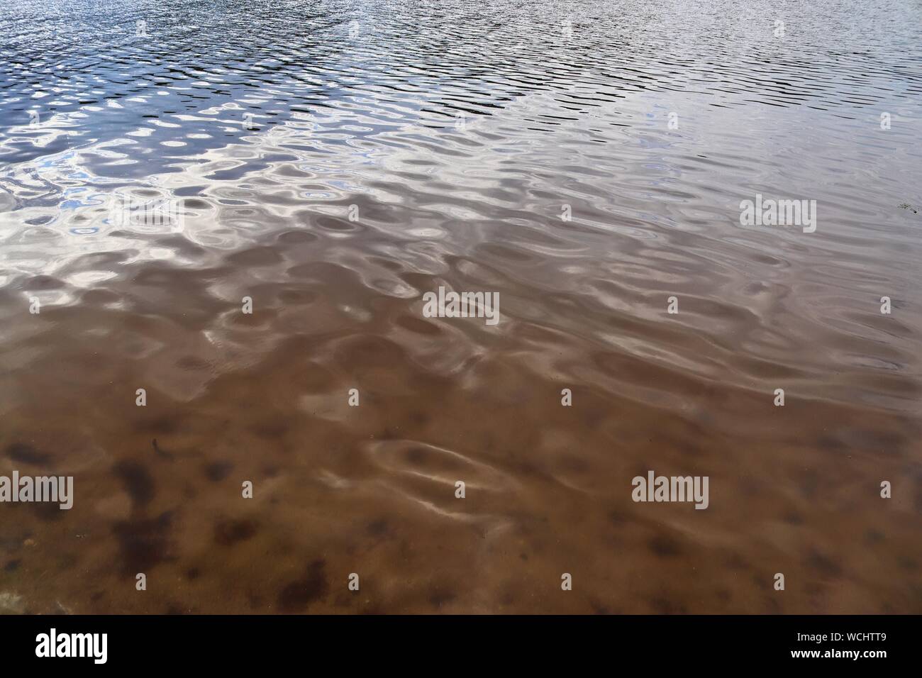 Detailed close up view on water surface with reflection sunlight at the ...