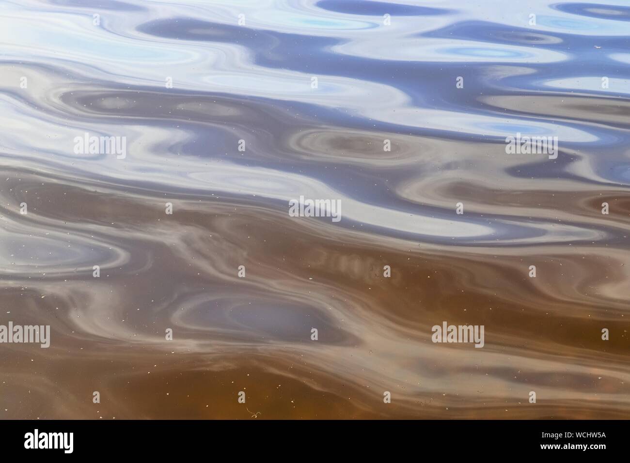 Detailed close up view on water surface with reflection sunlight at the ...