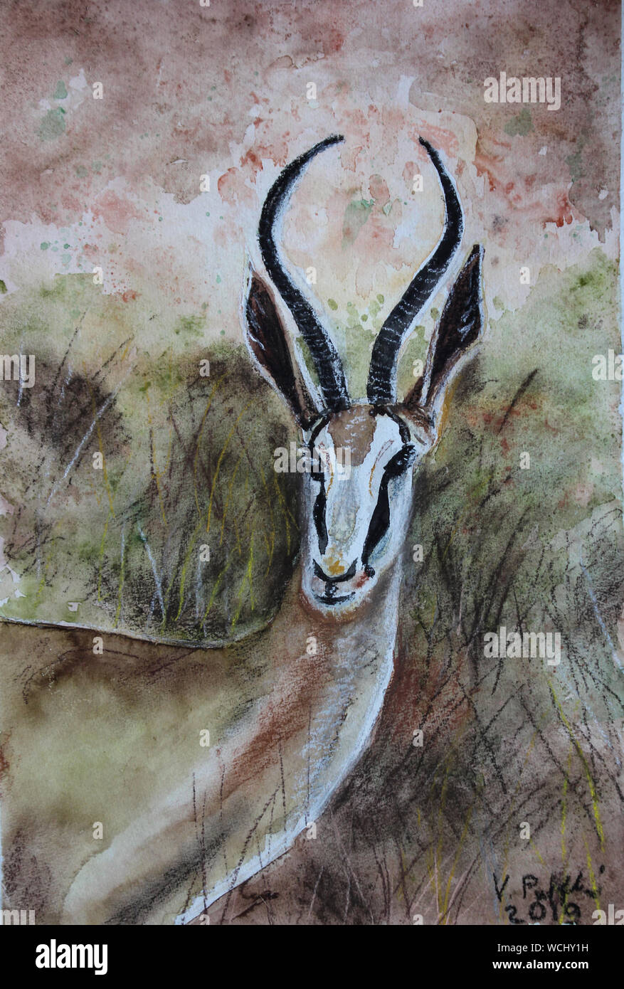Drawing of an impala hi-res stock photography and images - Alamy