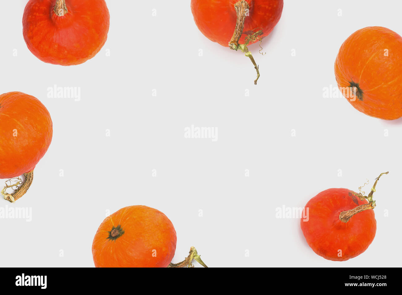 Freaky shape pumpkings arranged into a frame with place for text on the ...