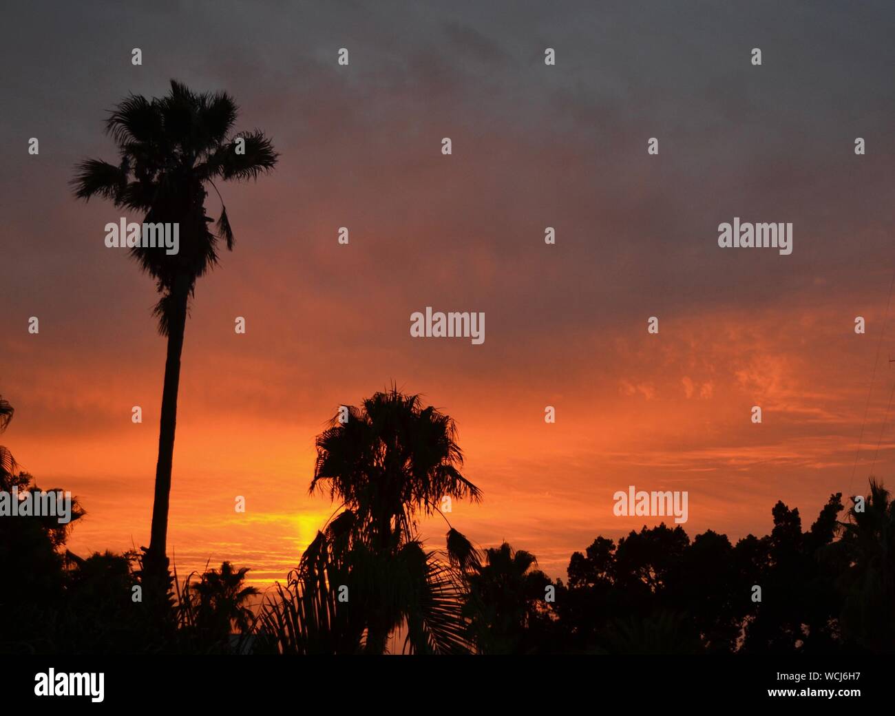 Africa pink sunset hi-res stock photography and images - Alamy