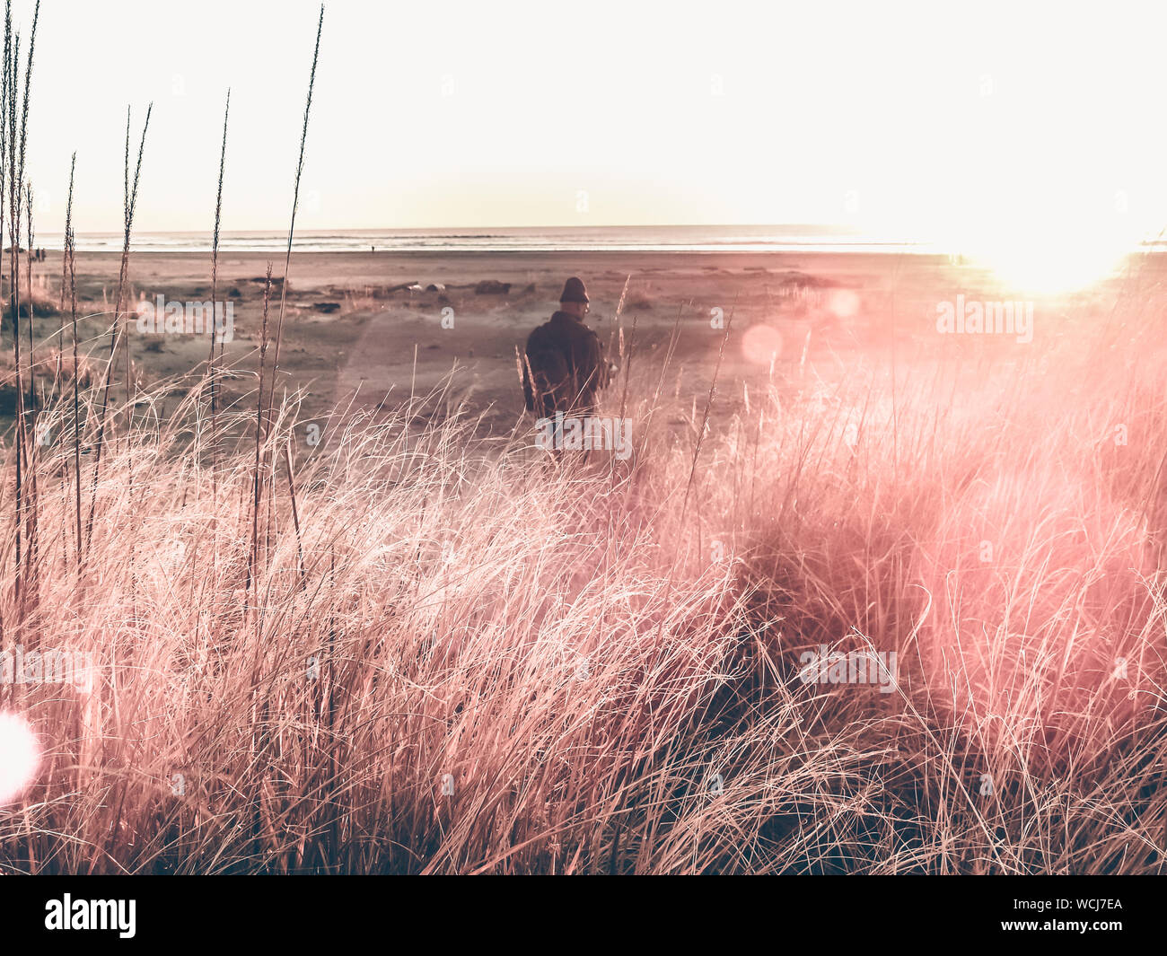 Man standing behind bush hi-res stock photography and images - Alamy