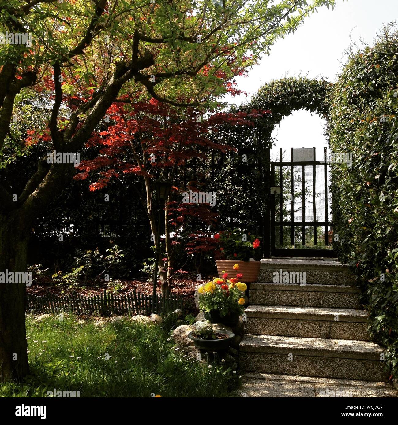 Formal steps hi-res stock photography and images - Alamy
