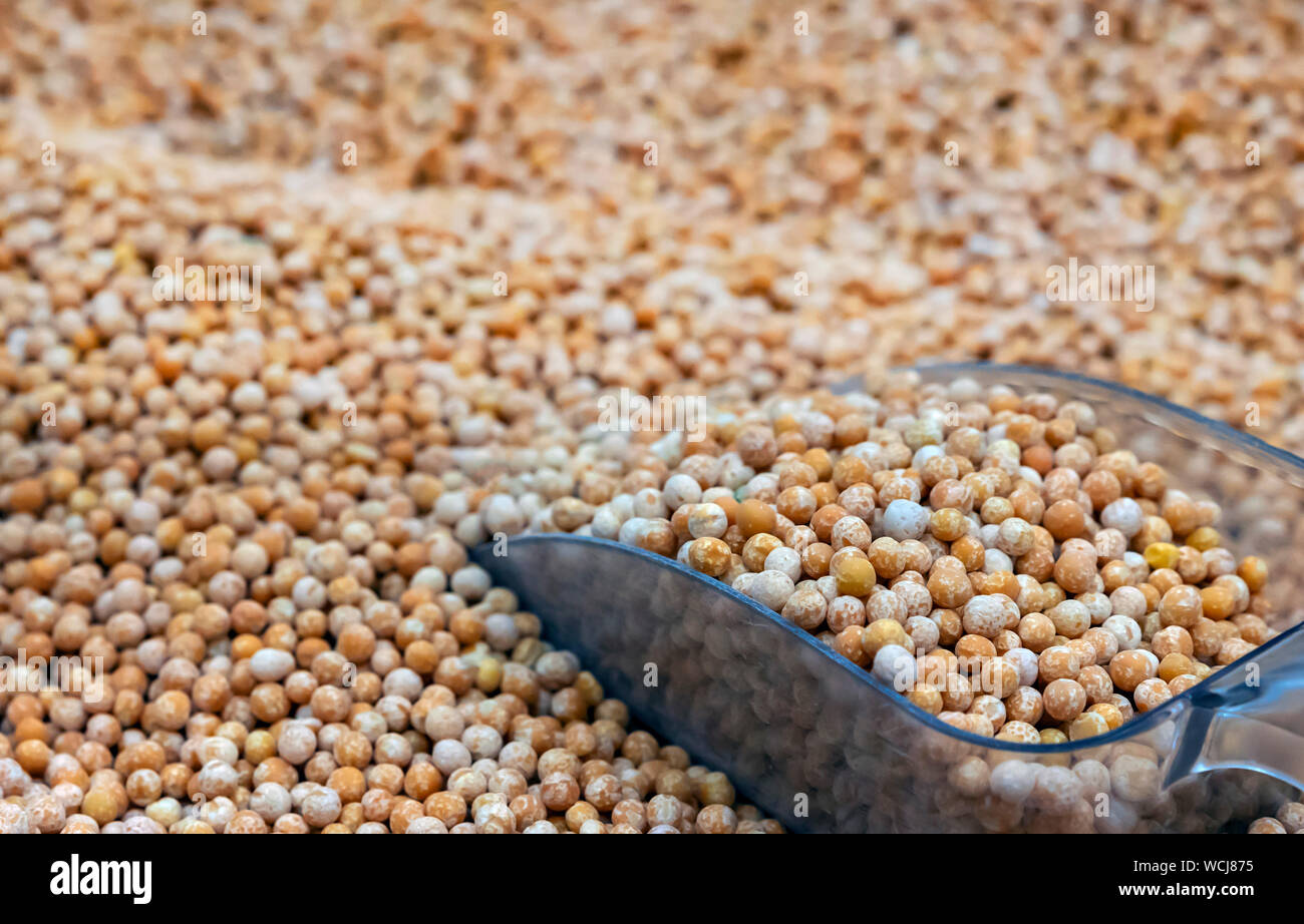 Pea counter hi-res stock photography and images - Alamy