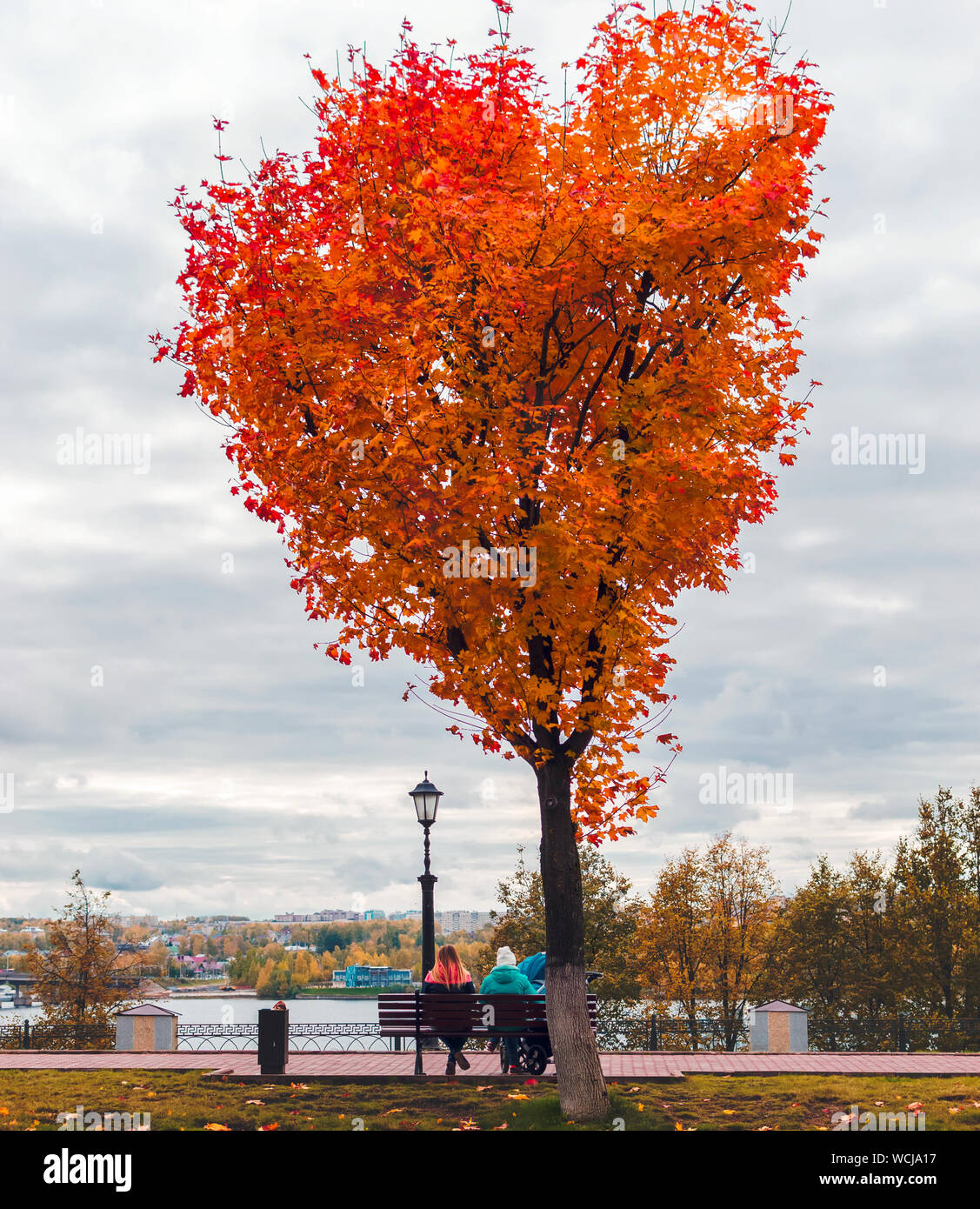 Real Heart Shaped Tree High Resolution Stock Photography and Images - Alamy