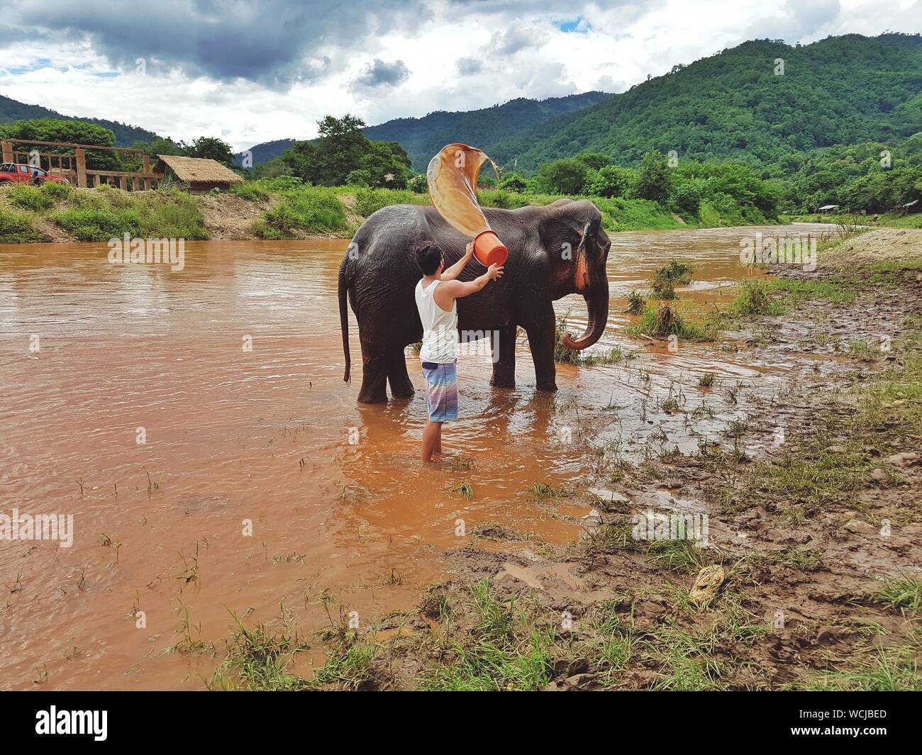 Man bucket water hi-res stock photography and images - Alamy