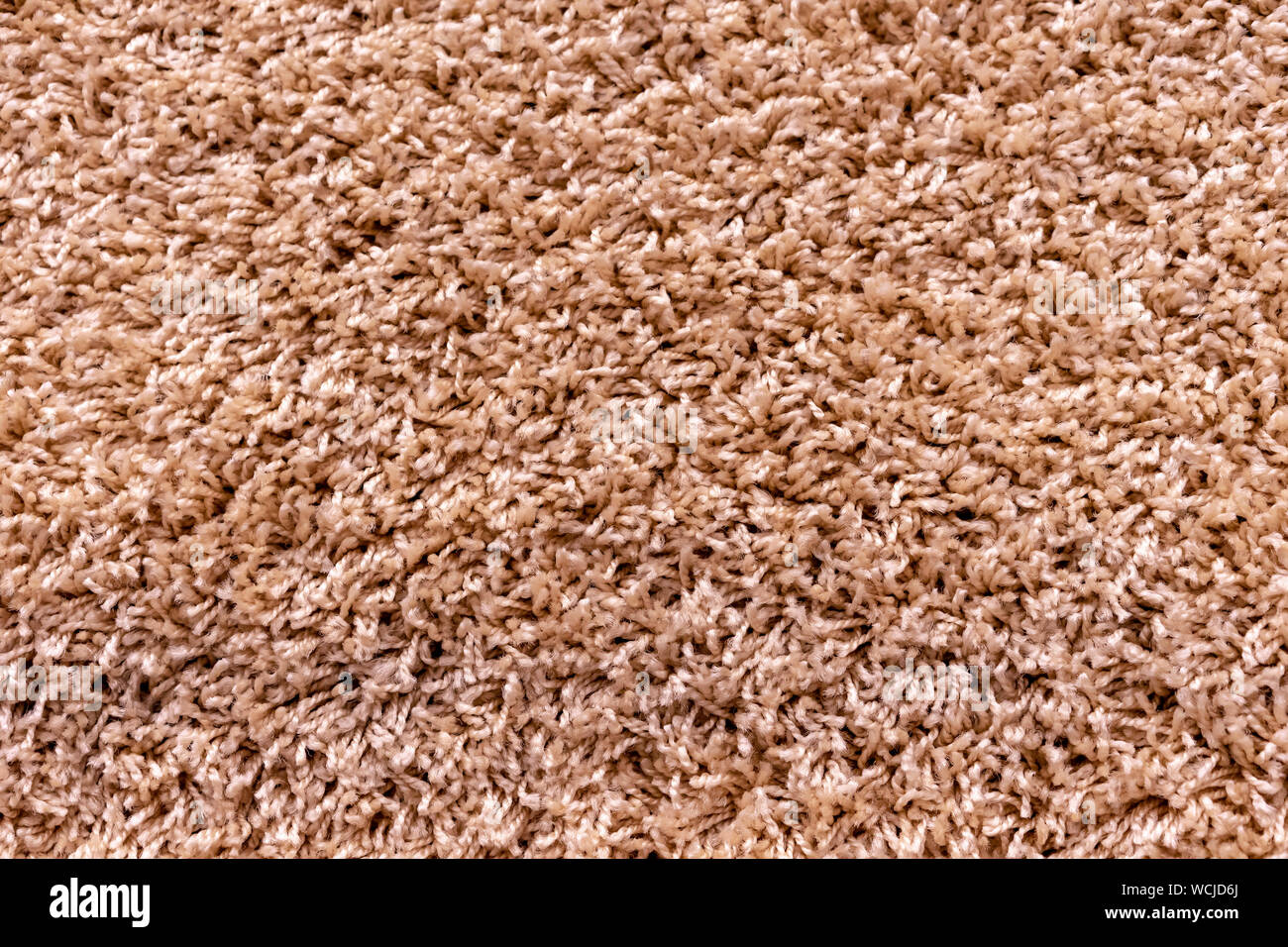 Texture of a beige carpet with a large nap Stock Photo - Alamy