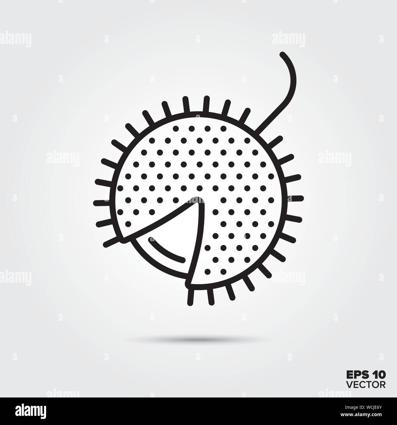 Chestnut outline style vector. Fall season and nature symbol. Tree ...