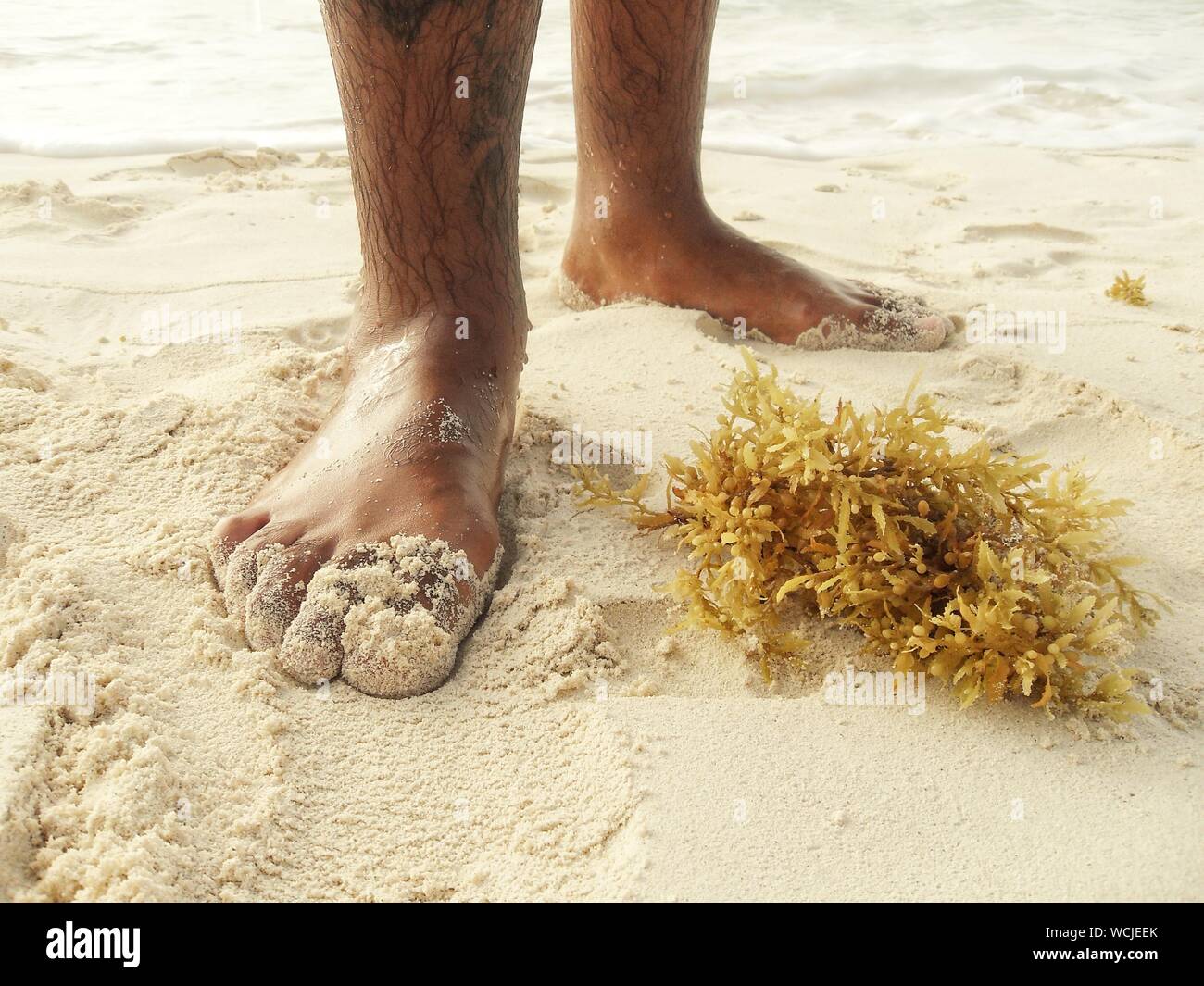 Seaweed Man High Resolution Stock Photography and Images - Alamy