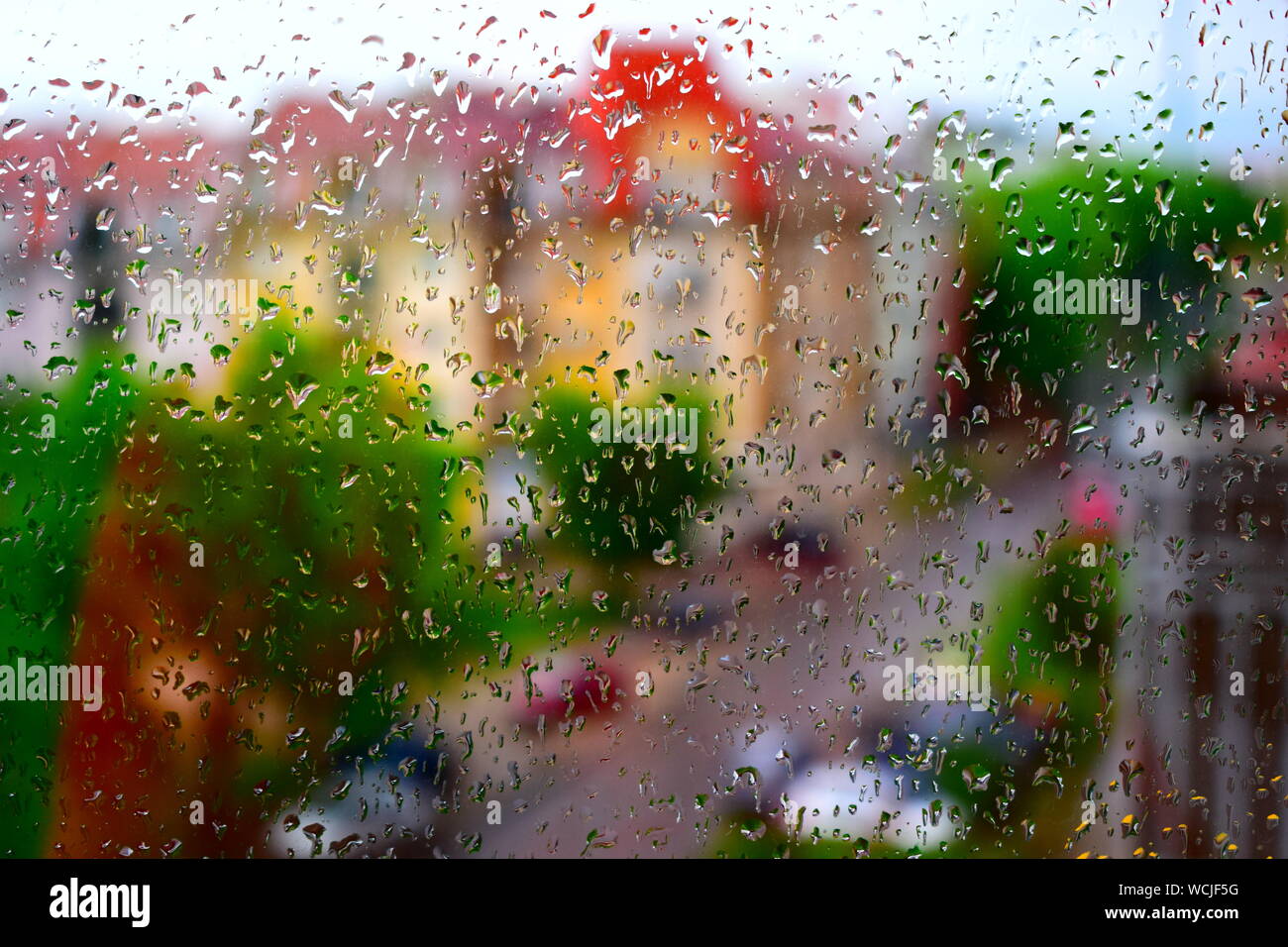 Green rainy street hi-res stock photography and images - Alamy