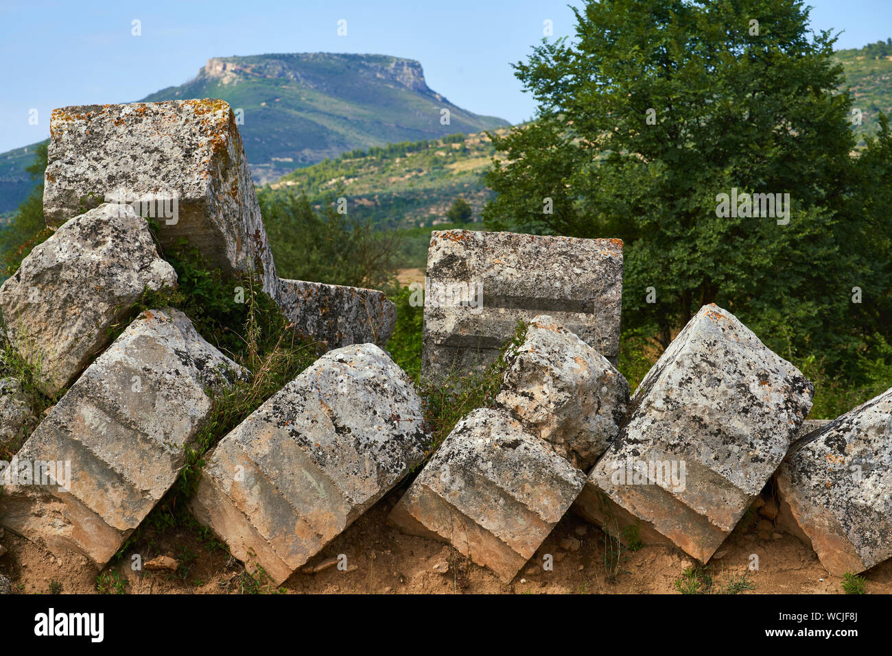 Scattered column pieces from the 4th century BC doric Temple of Zeus at ...