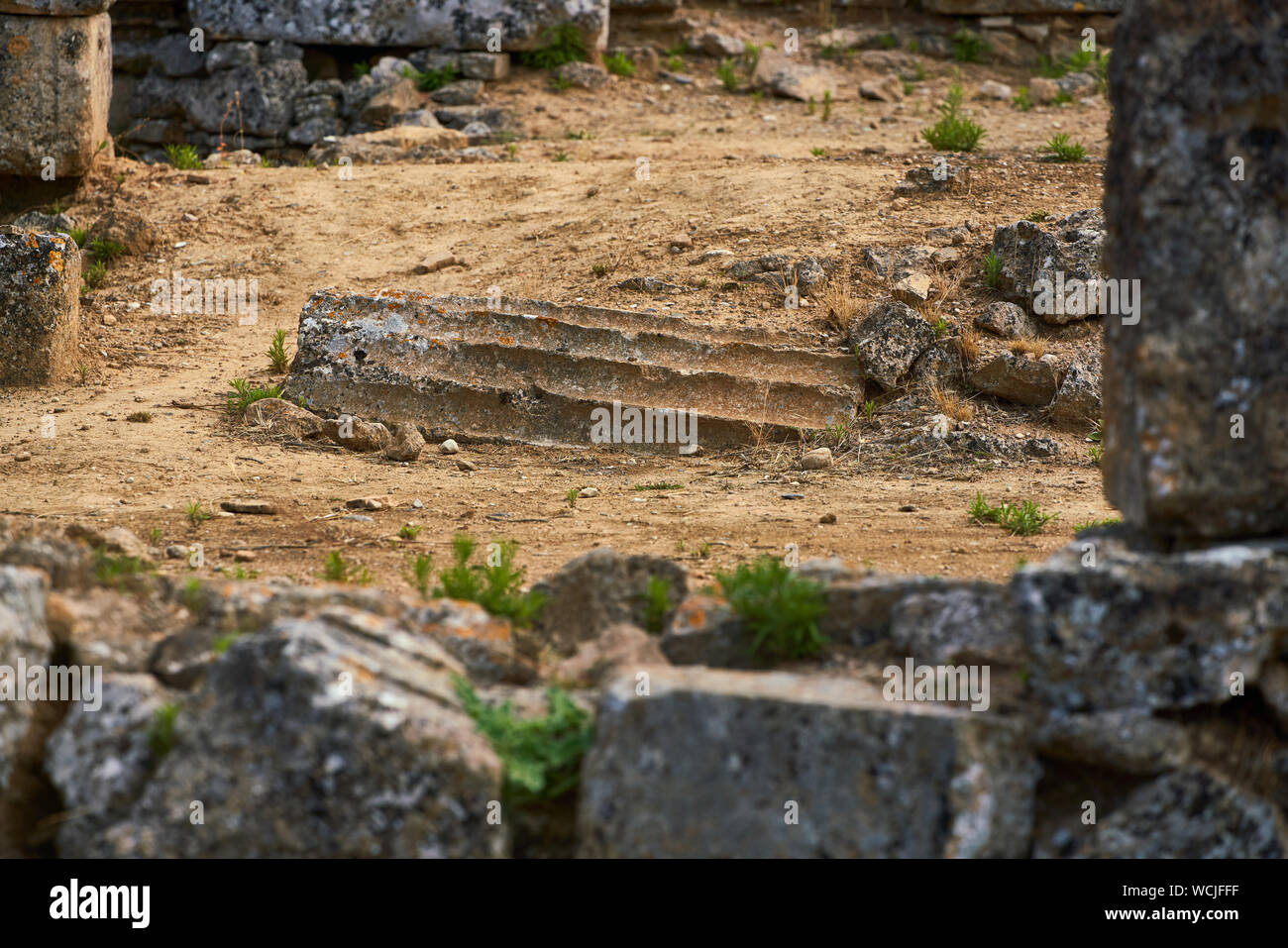 Scattered column pieces from the 4th century BC doric Temple of Zeus at ...