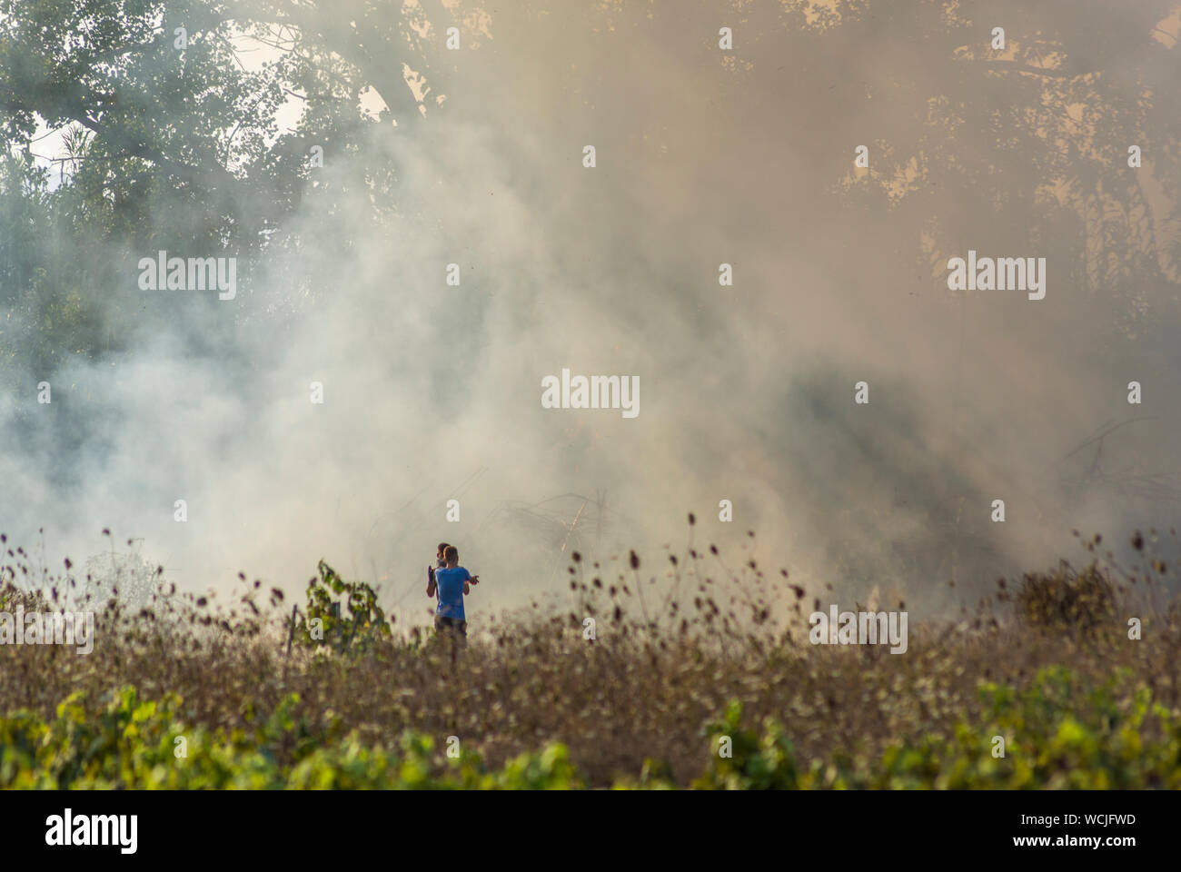Firefighters battle against wild forest fires in Corfu Greece.That`s ...