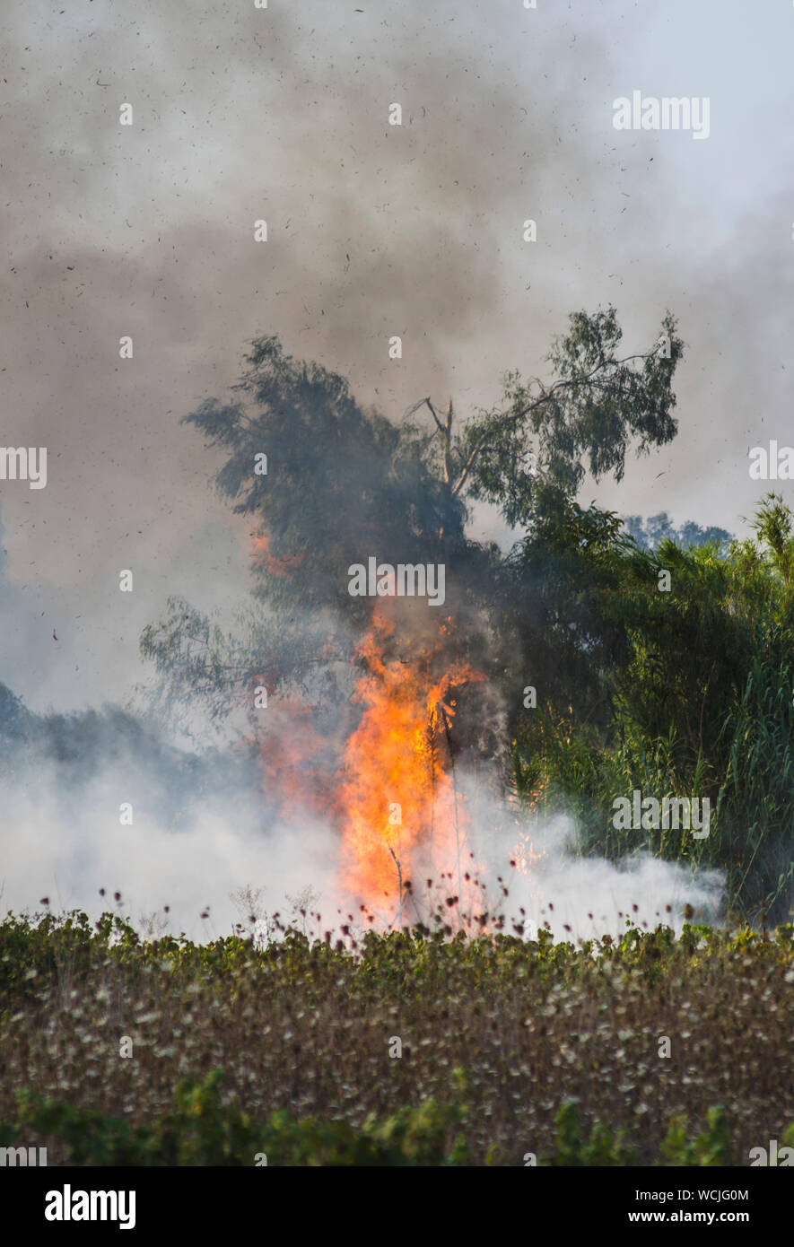 Firefighters battle against wild forest fires in Corfu Greece.That`s ...