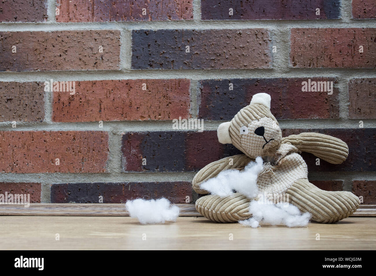 Bad teddy bear hi-res stock photography and images - Alamy