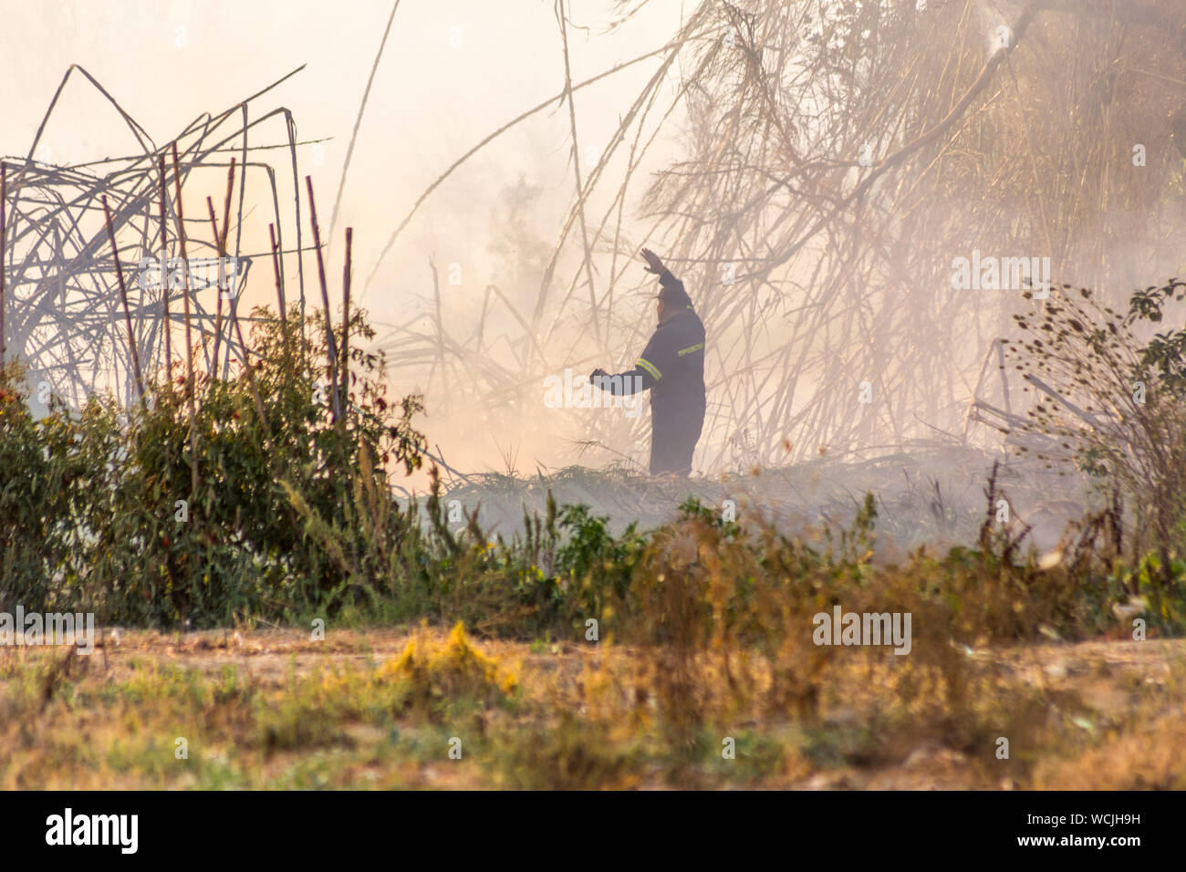 Firefighters battle against wild forest fires in Corfu Greece.That`s ...