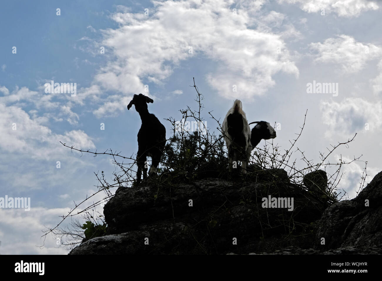 Difficult conditions of work hi-res stock photography and images - Alamy