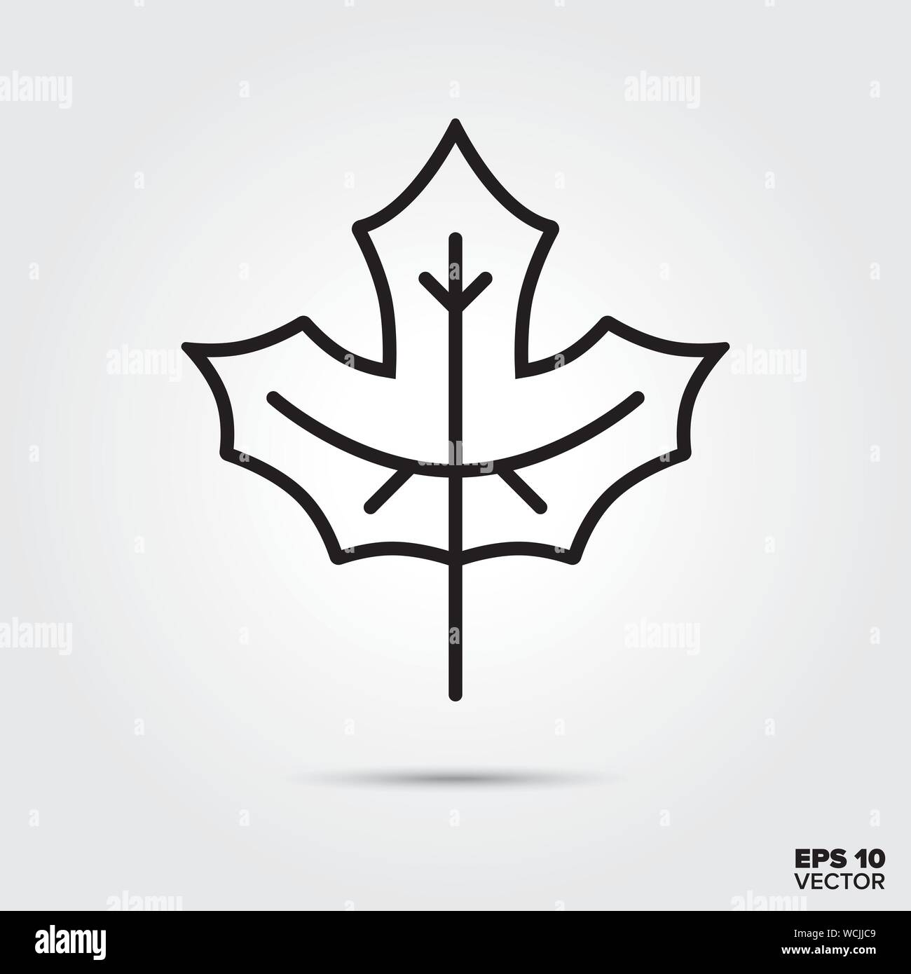 Maple leaf outline style vector. Fall season and nature symbol. Plant ...