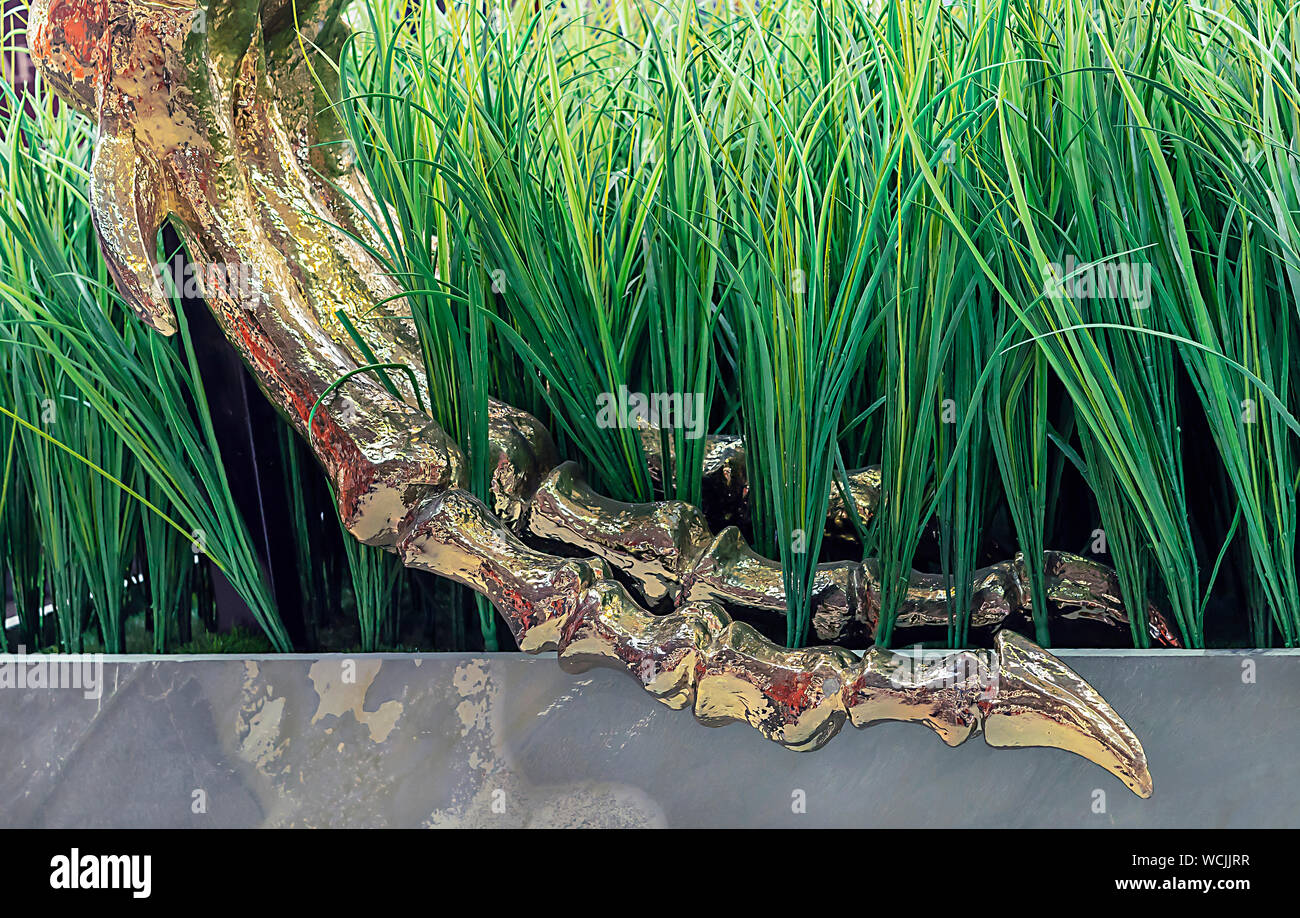 Dinosaur paw skeleton gold plated. Paw of a dinosaur on green grass ...