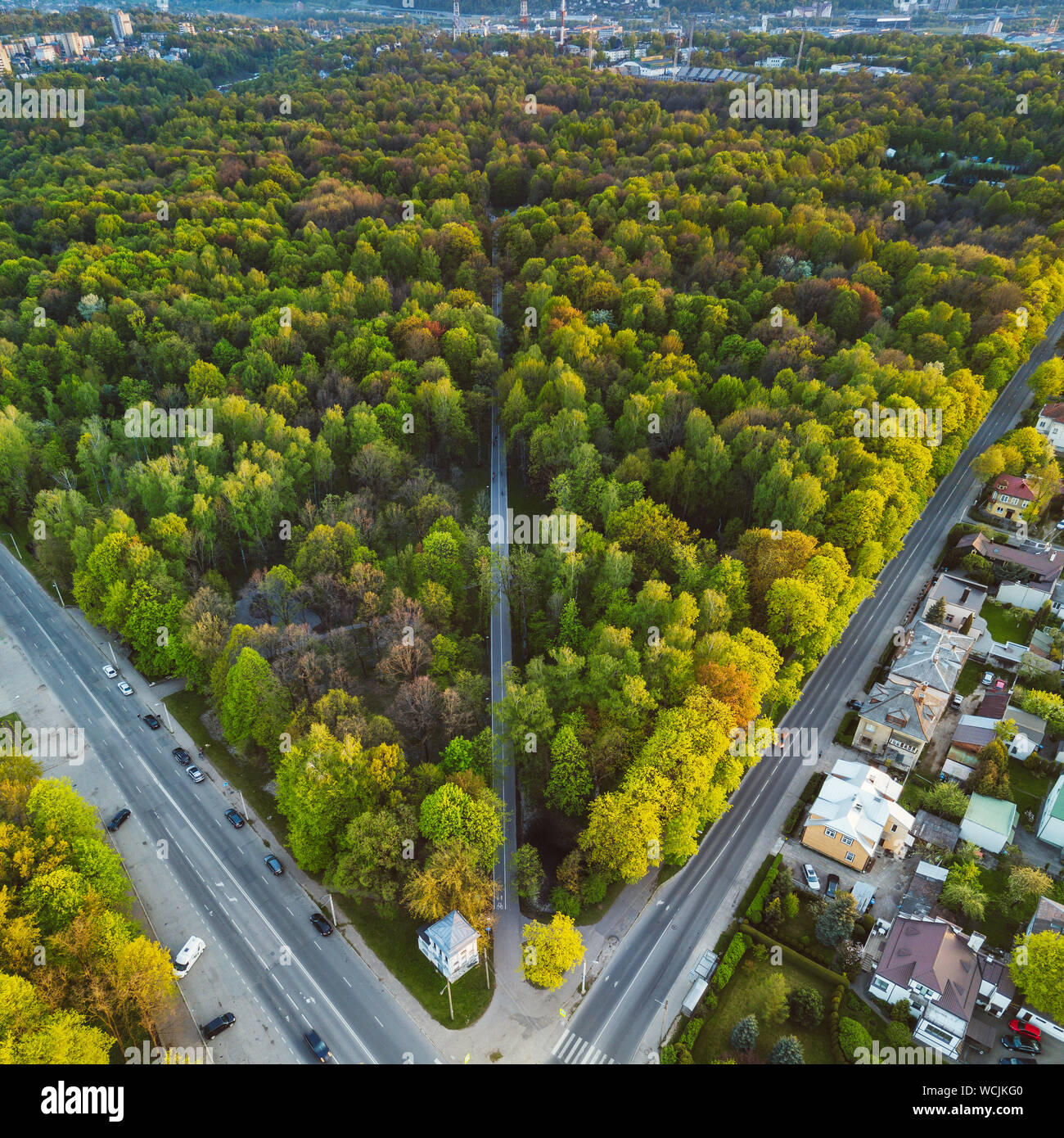 Remote oak forest hi-res stock photography and images - Alamy