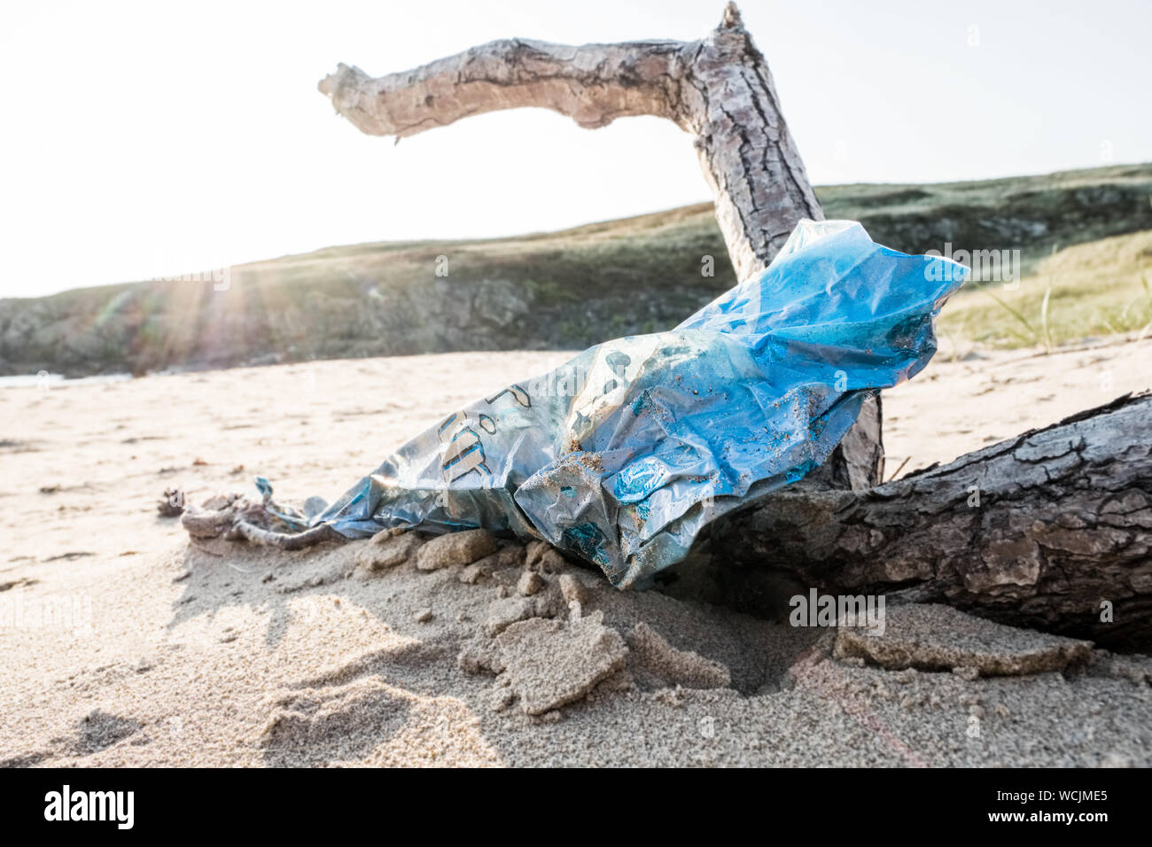 Plastic waste pollution (party balloon) on a beach in Wales UK Stock ...